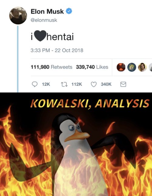 extreme analysis. | Scrolller