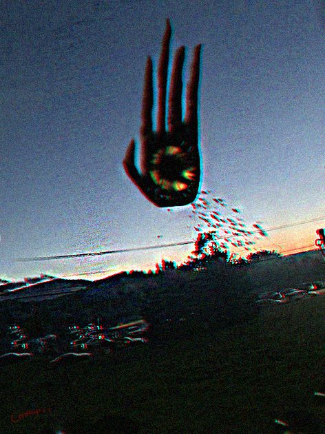 Eye of the Palm is BACK!!! | Scrolller