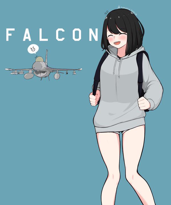 F-16 Falcon | Scrolller