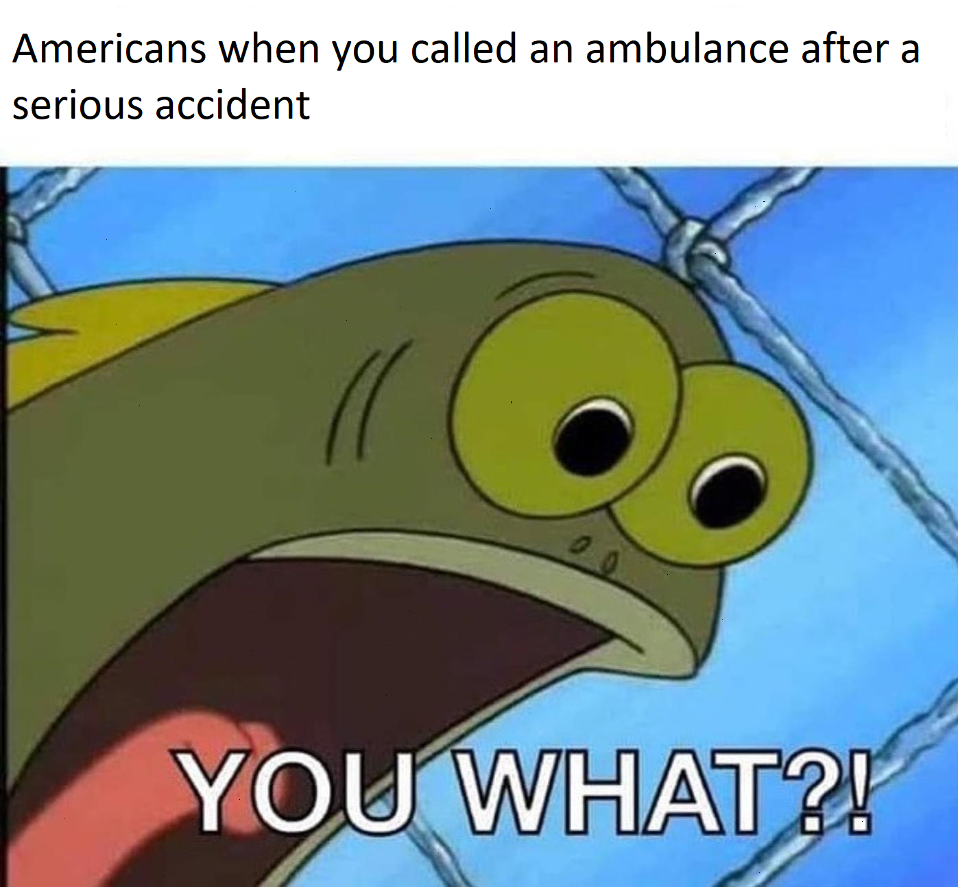 F*cking tourists | Scrolller