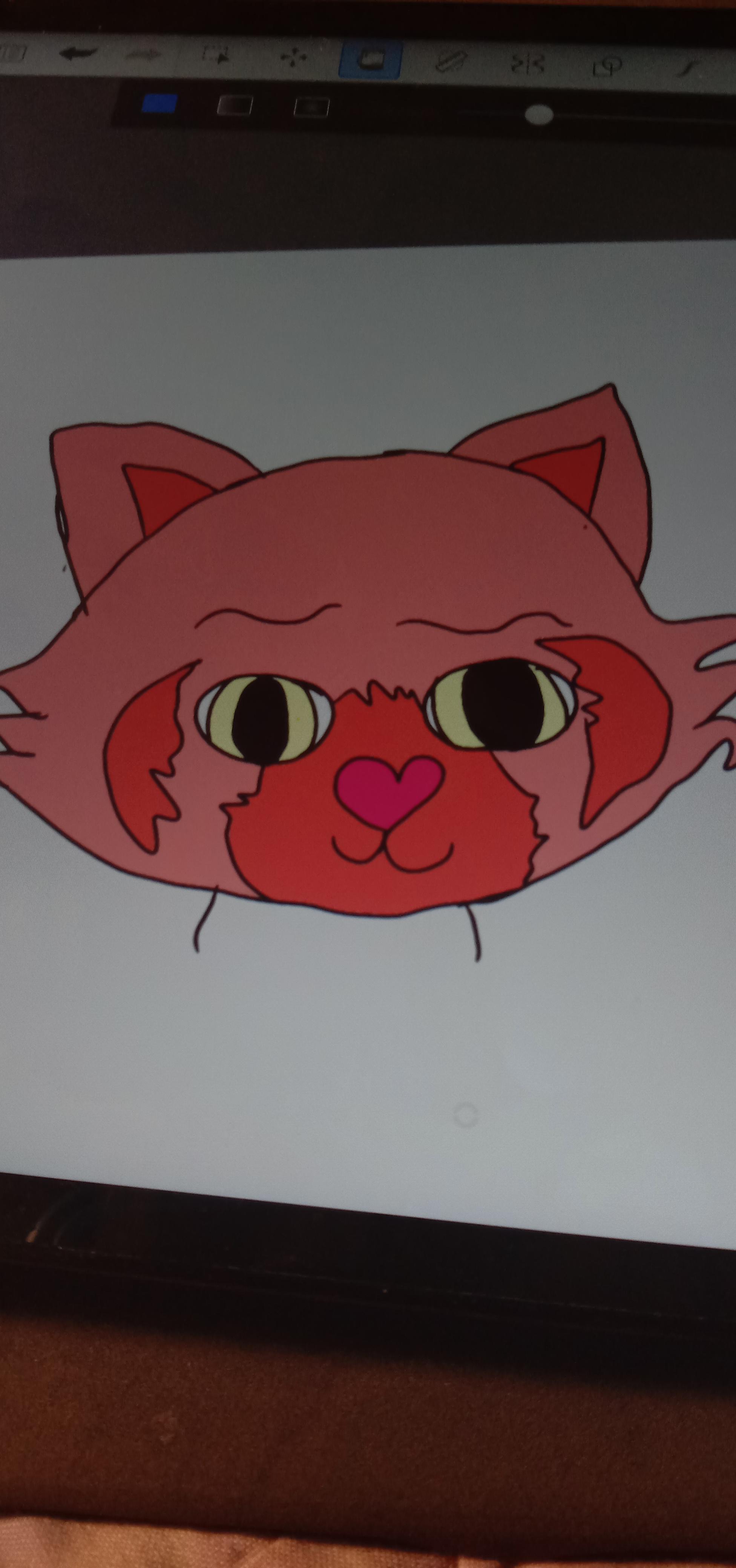 Face pic of miss Cotton bubble. Day 16. | Scrolller