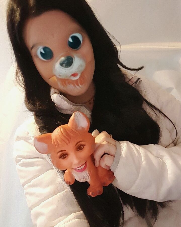 Faceswap with Tod the Fox | Scrolller