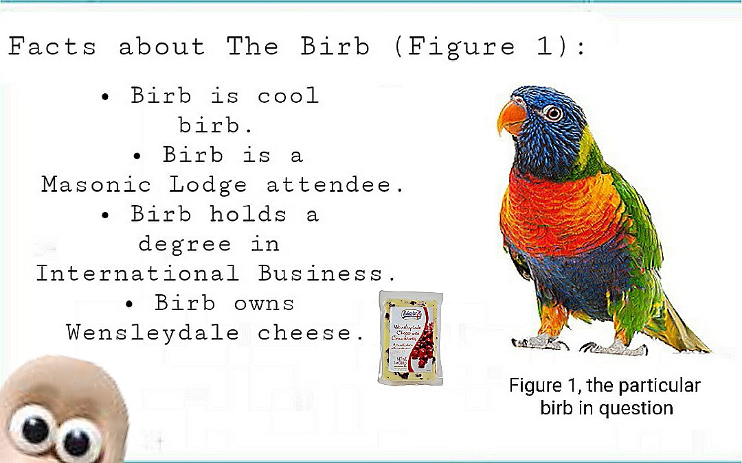 Facts about The Birb | Scrolller