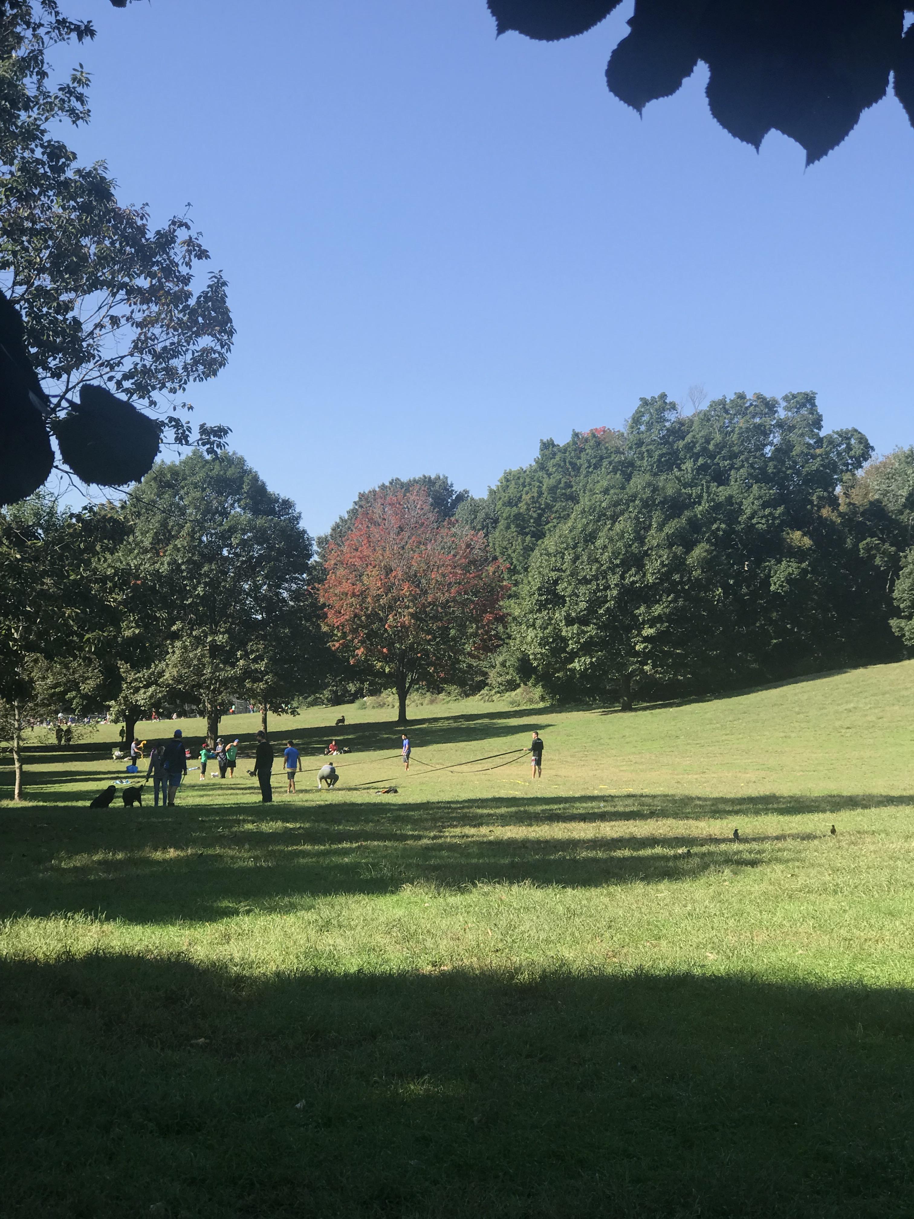 Fall has begun @Prospect Park | Scrolller