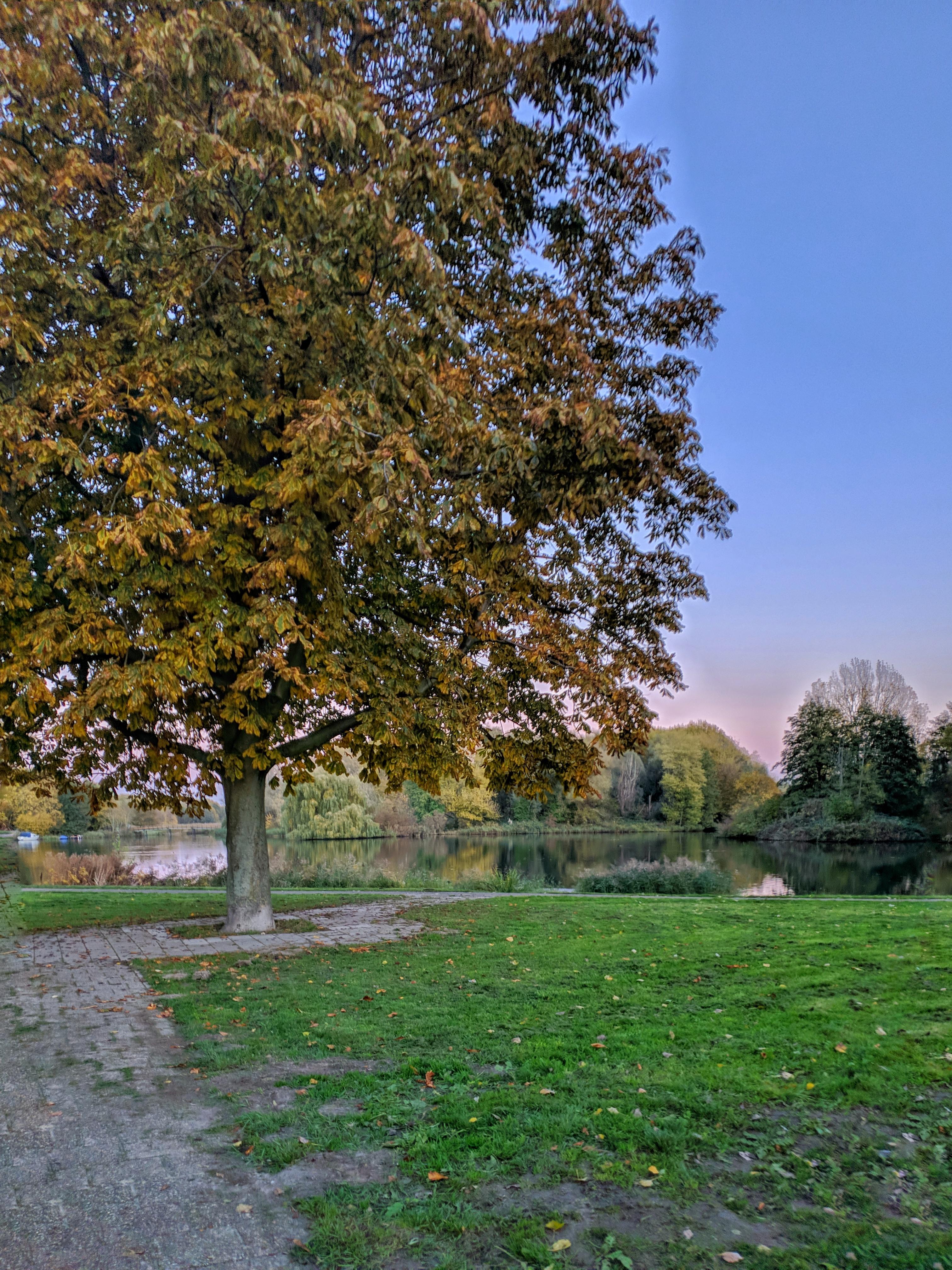 Fall in Amsterdam. Geweldig. | Scrolller