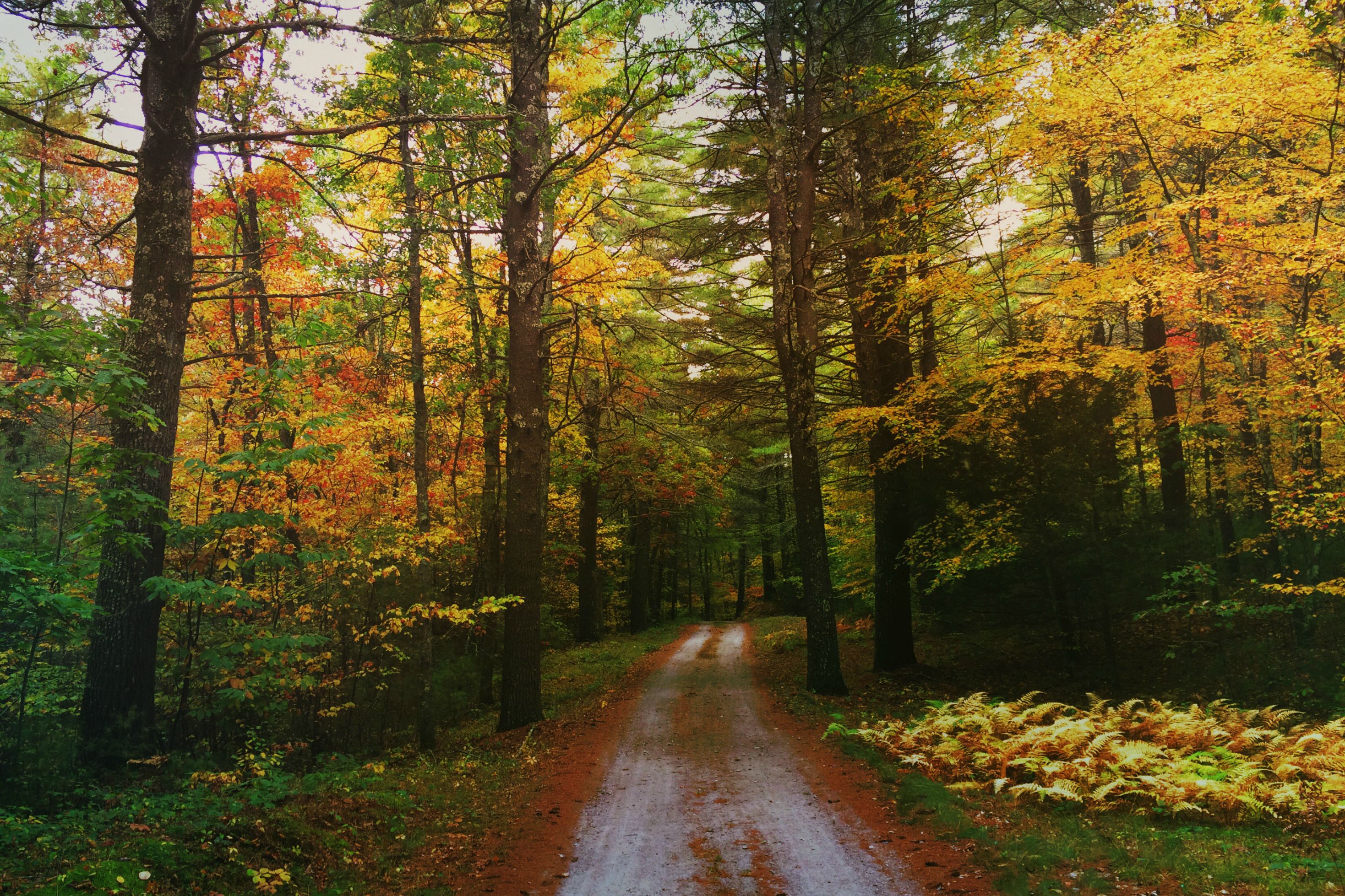 Fall in Rhode Island | Scrolller