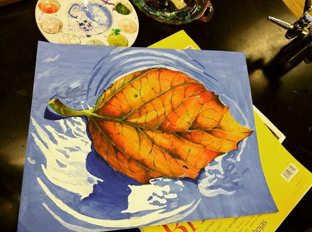 Fall Leaf | Scrolller