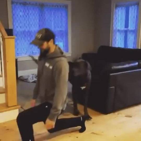 Family lunges | Scrolller