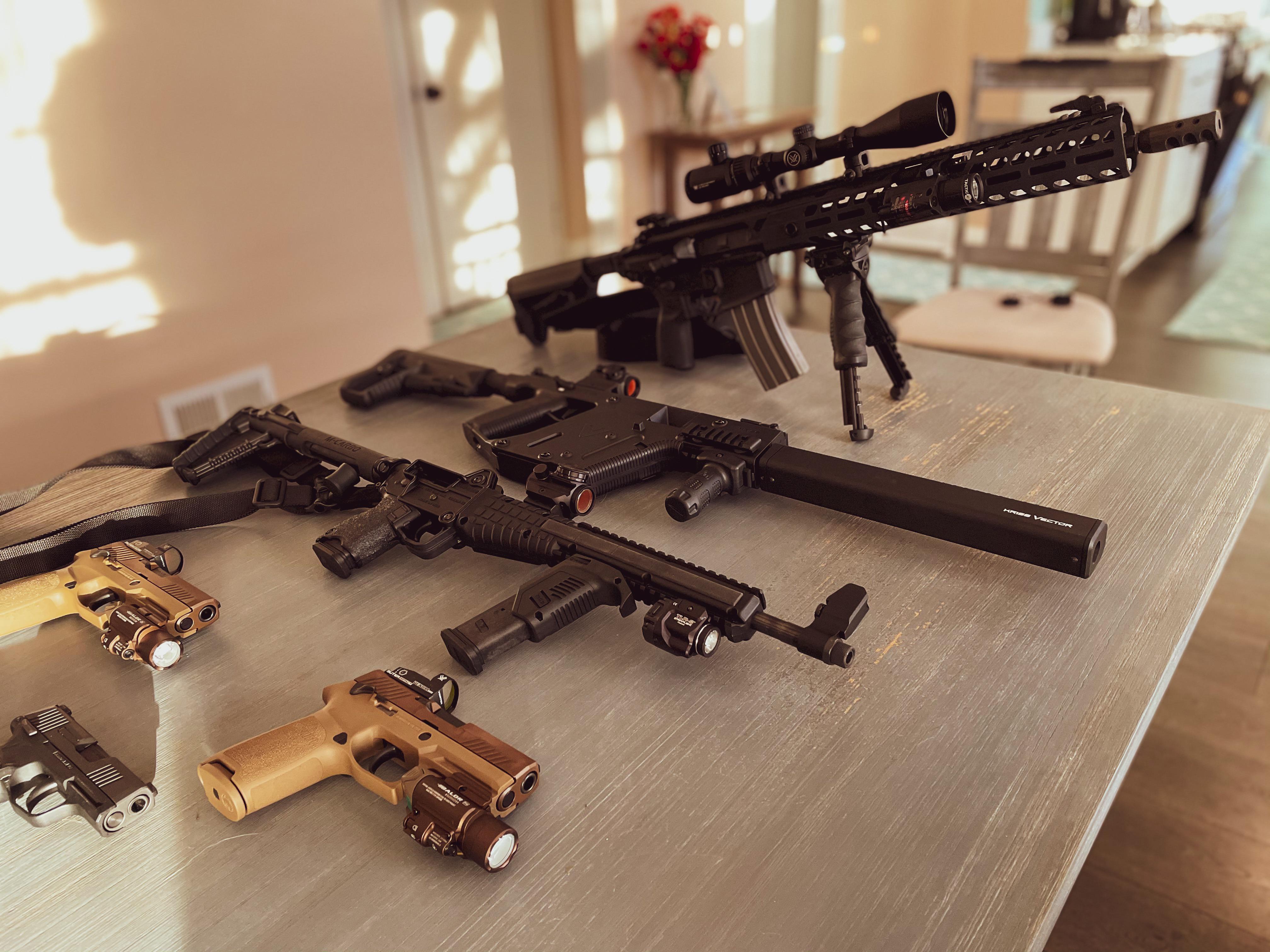 Family outing- sig p365, m18, vector, sub2000, mcx | Scrolller