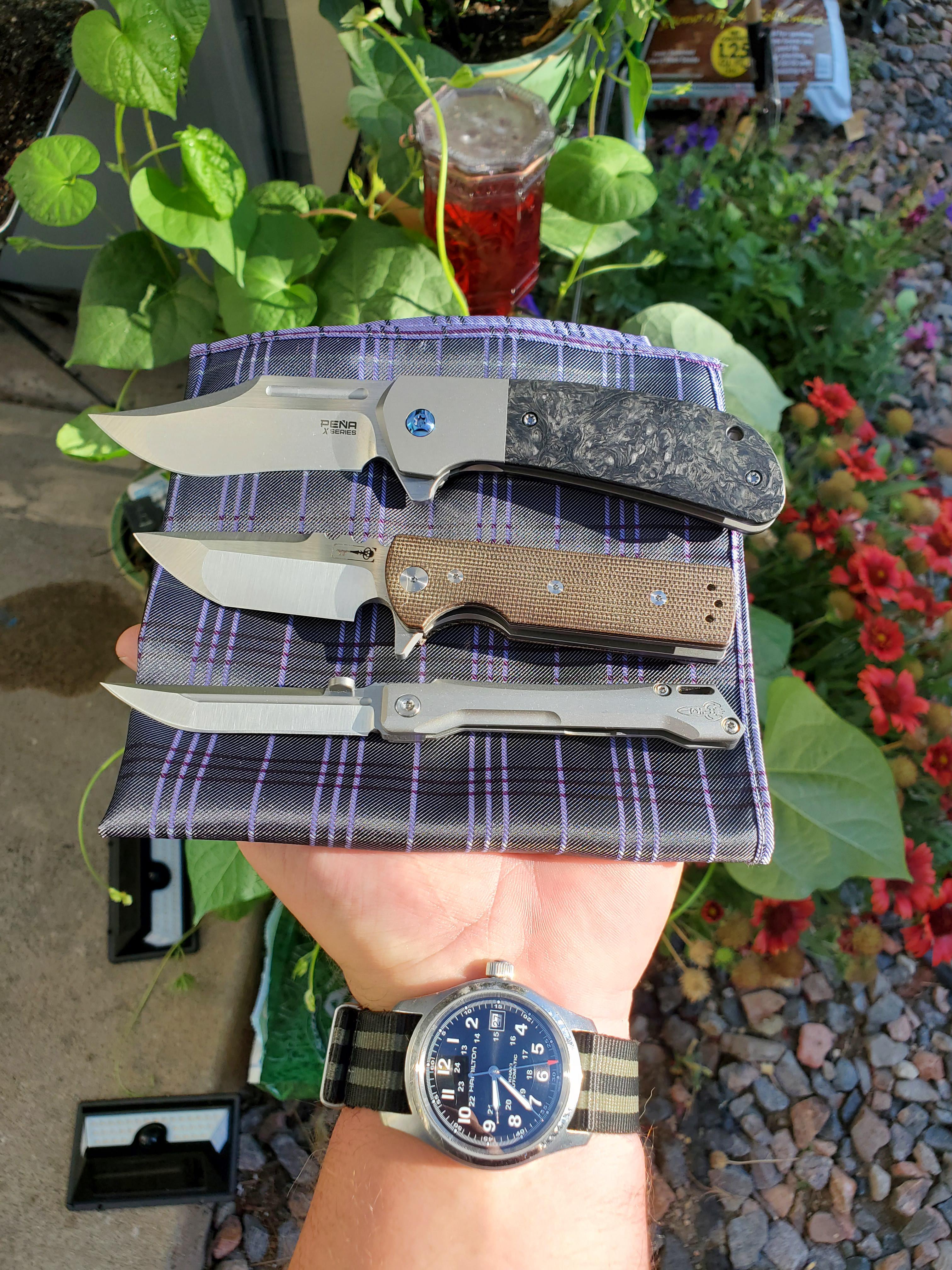 Fancy Flipper Friday!!🐬 | Scrolller