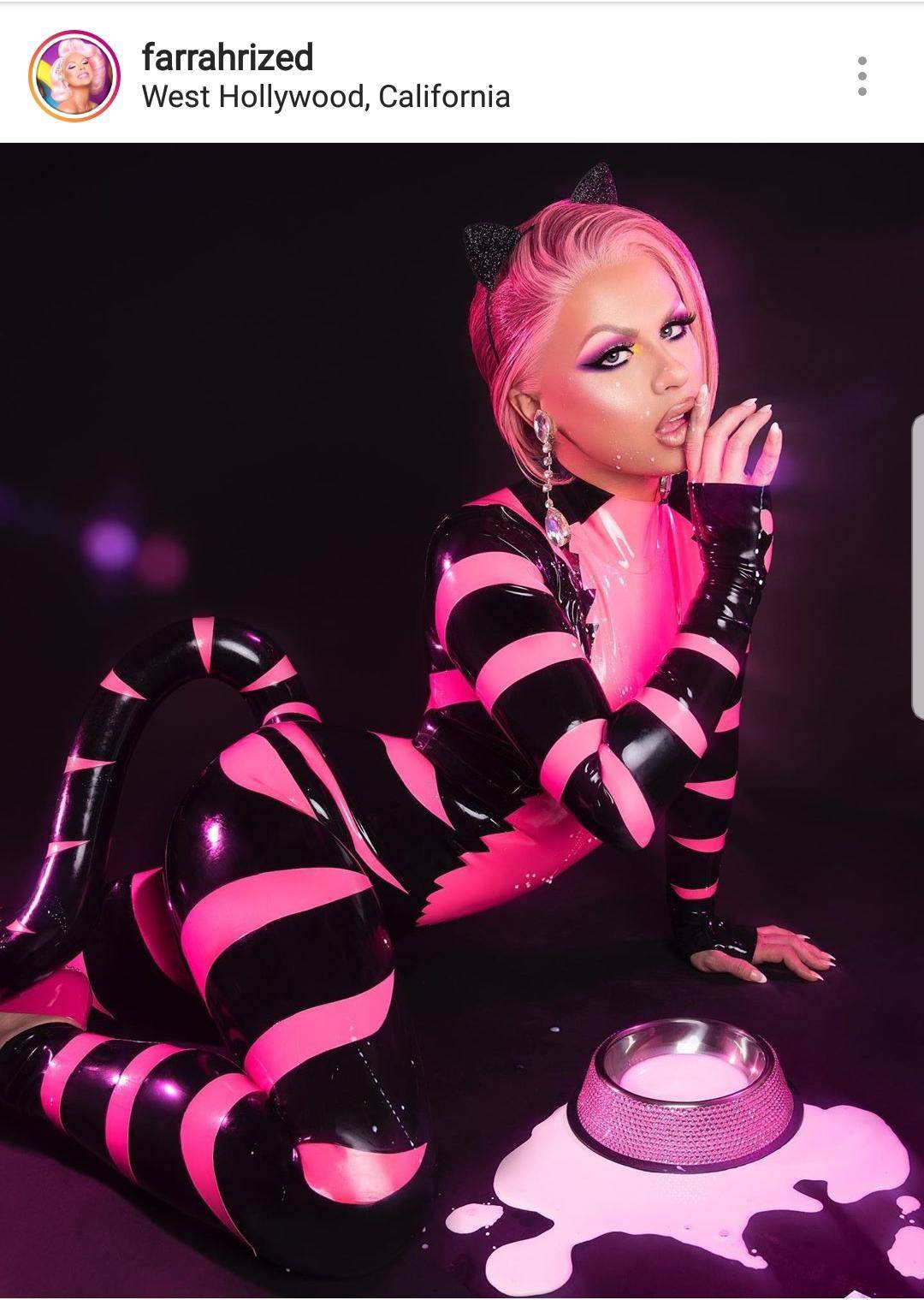 Farrah kitty | Scrolller