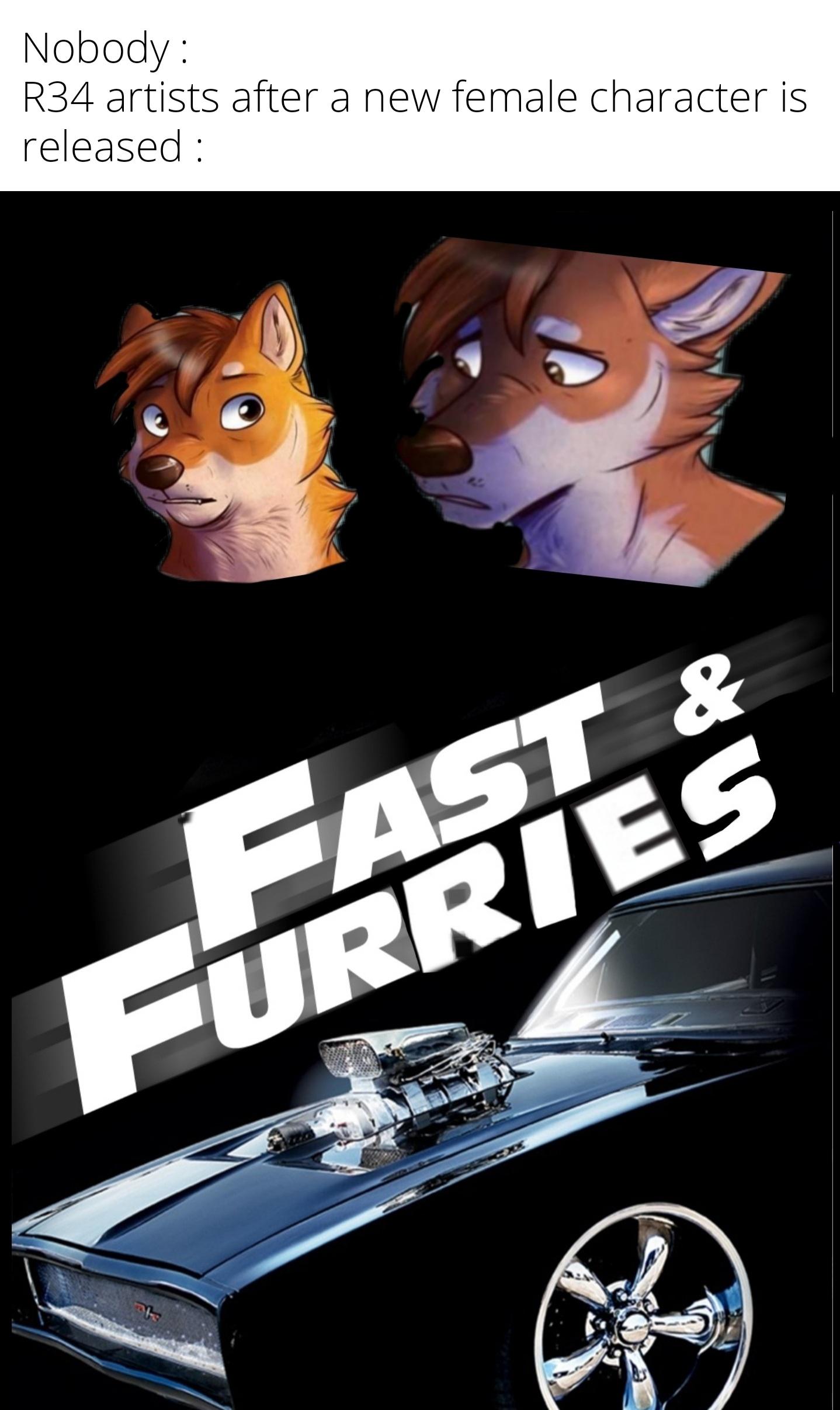 Fast and Furries | Scrolller