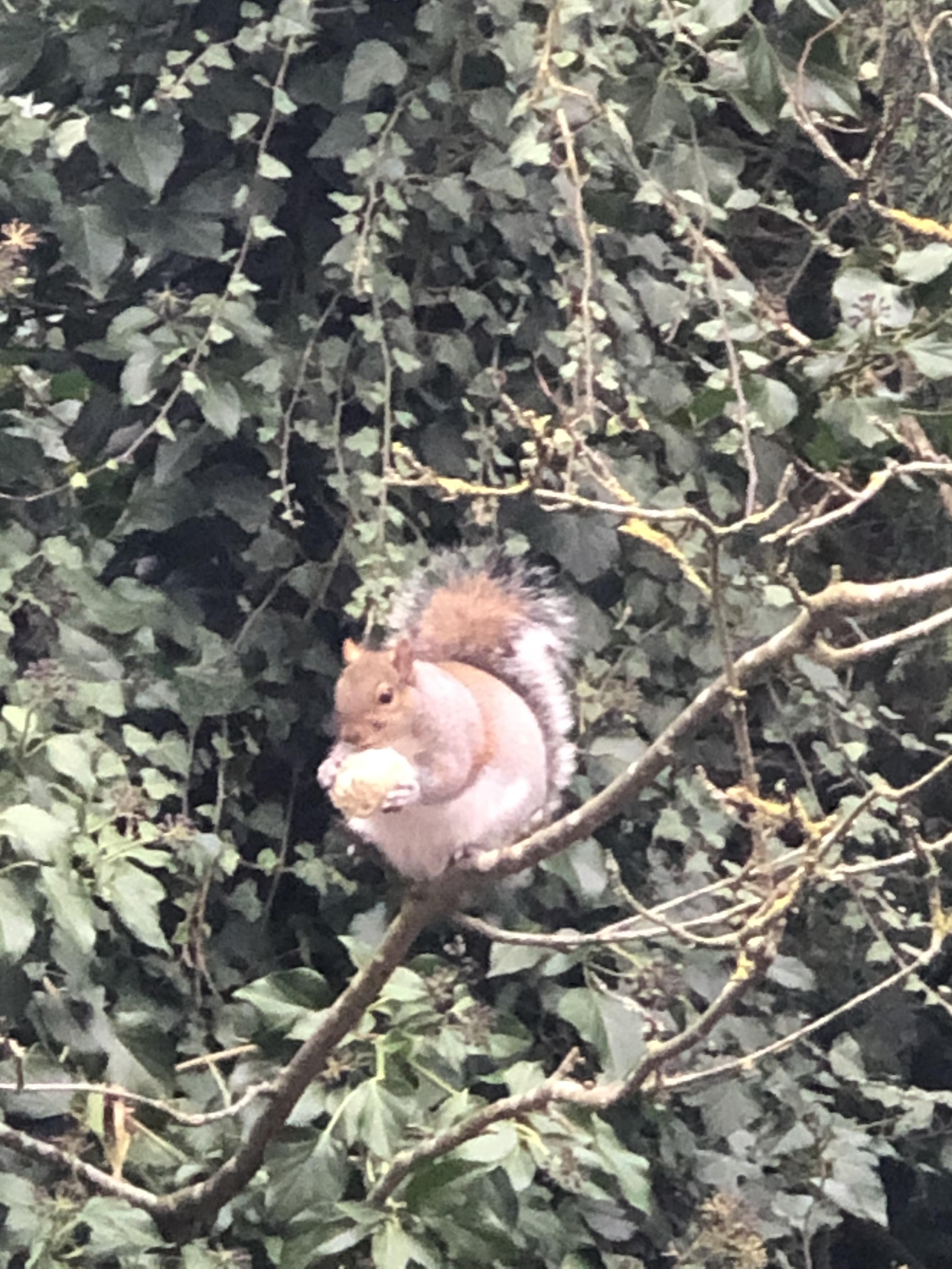 Fat bastard > Gravity | Scrolller