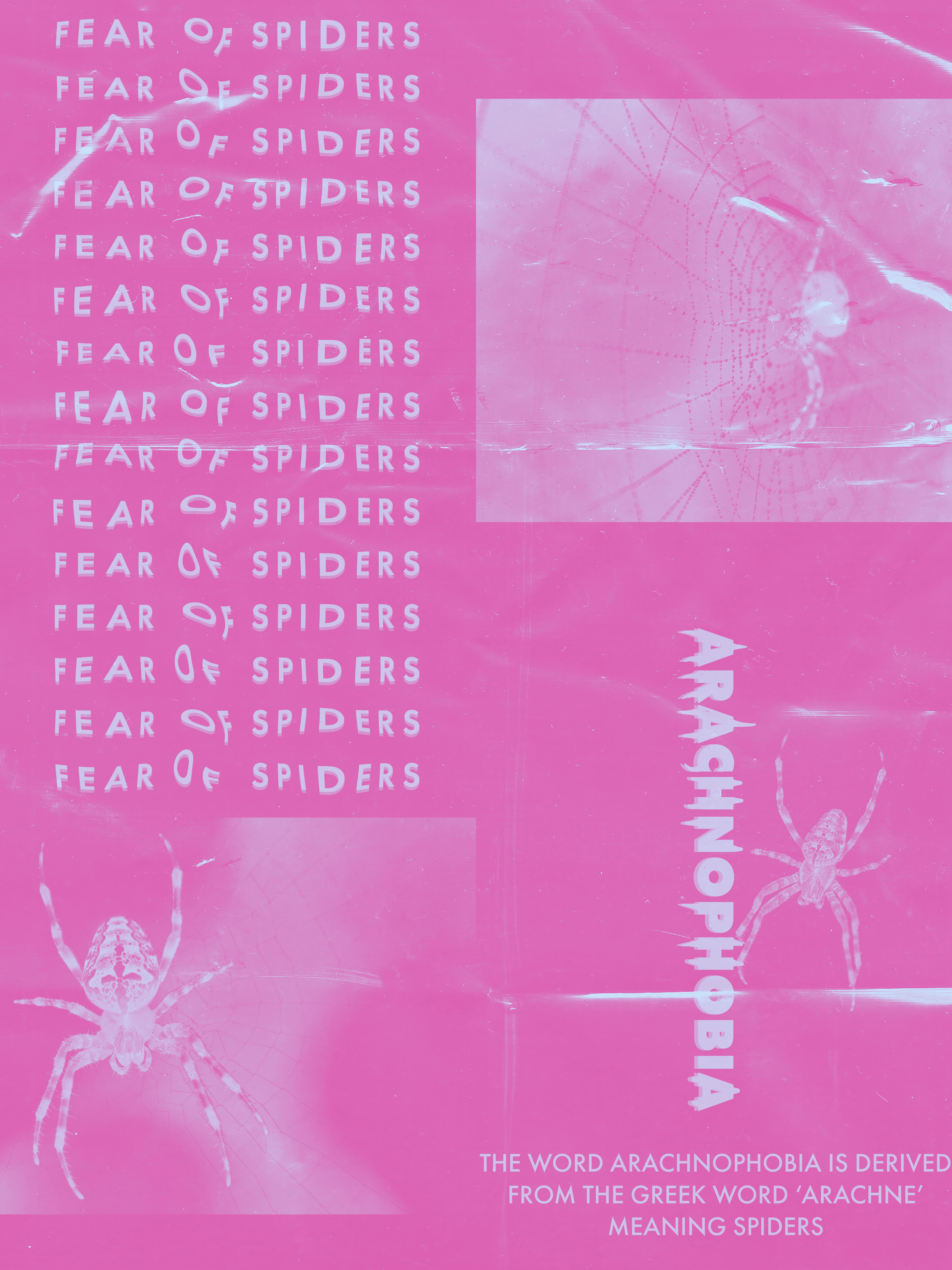 Fear of spiders poster | Scrolller