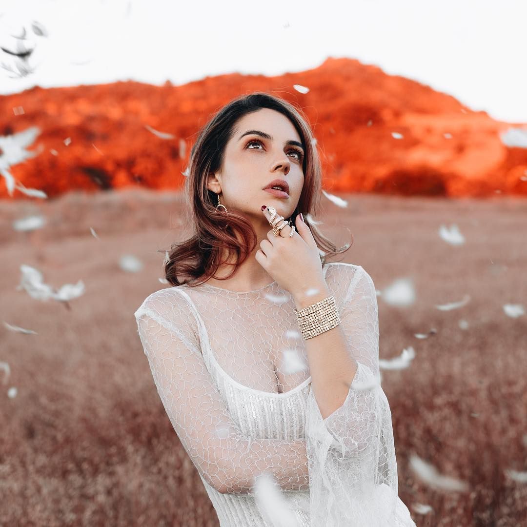 Feathers | Scrolller