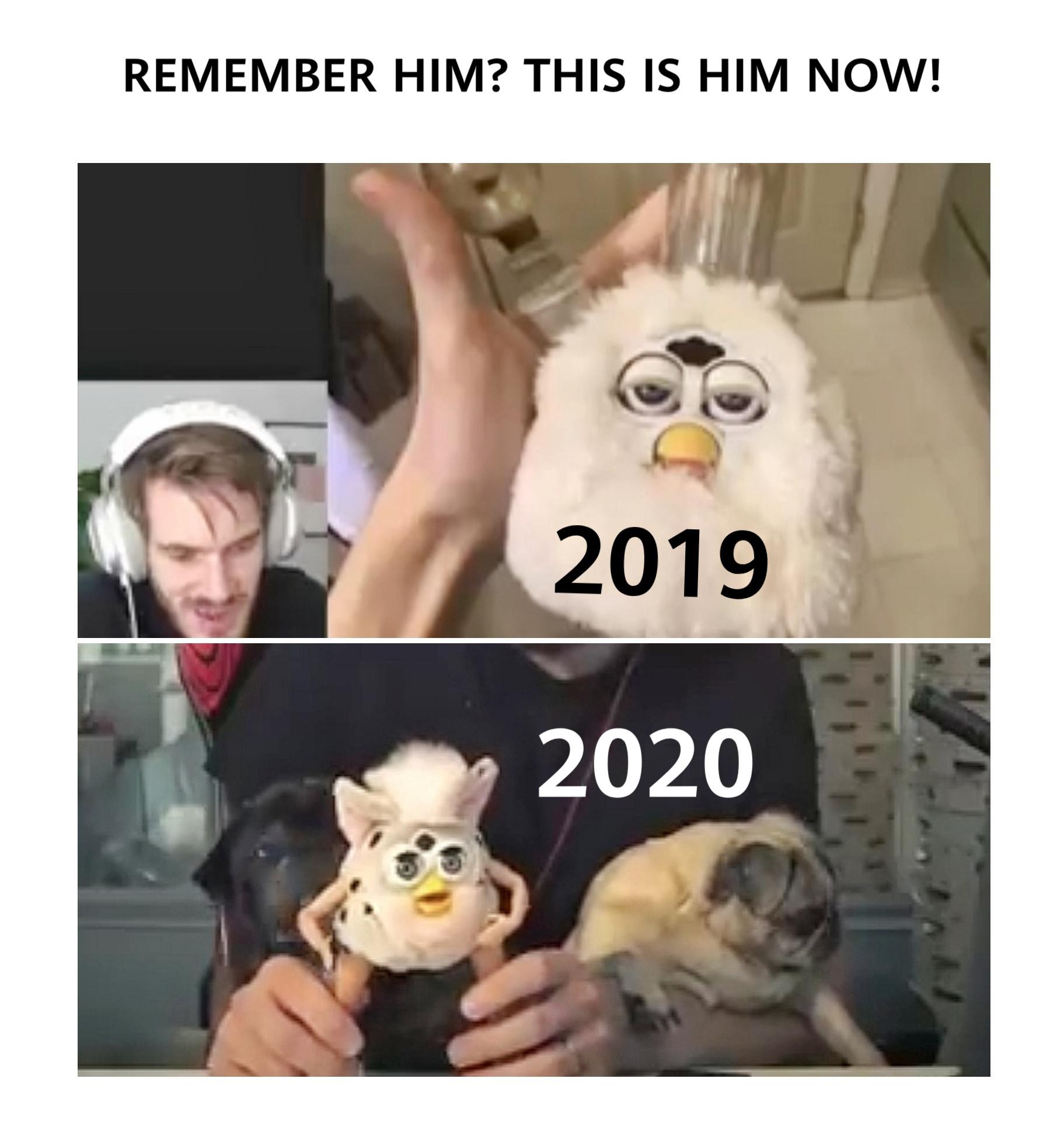 FEEL OLD YET? | Scrolller