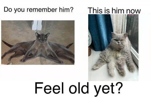 feel old yet? | Scrolller