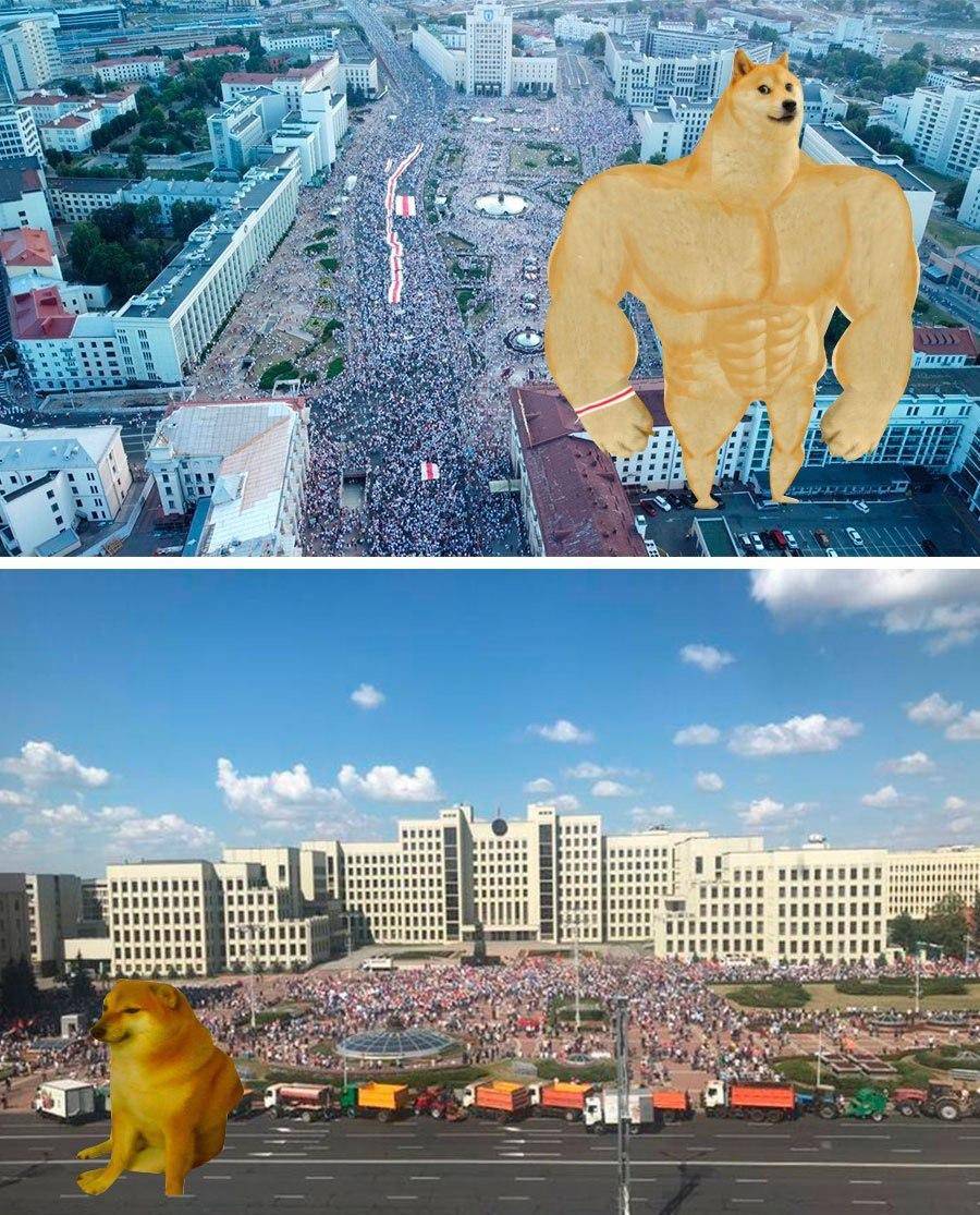 Feel The Difference Scrolller