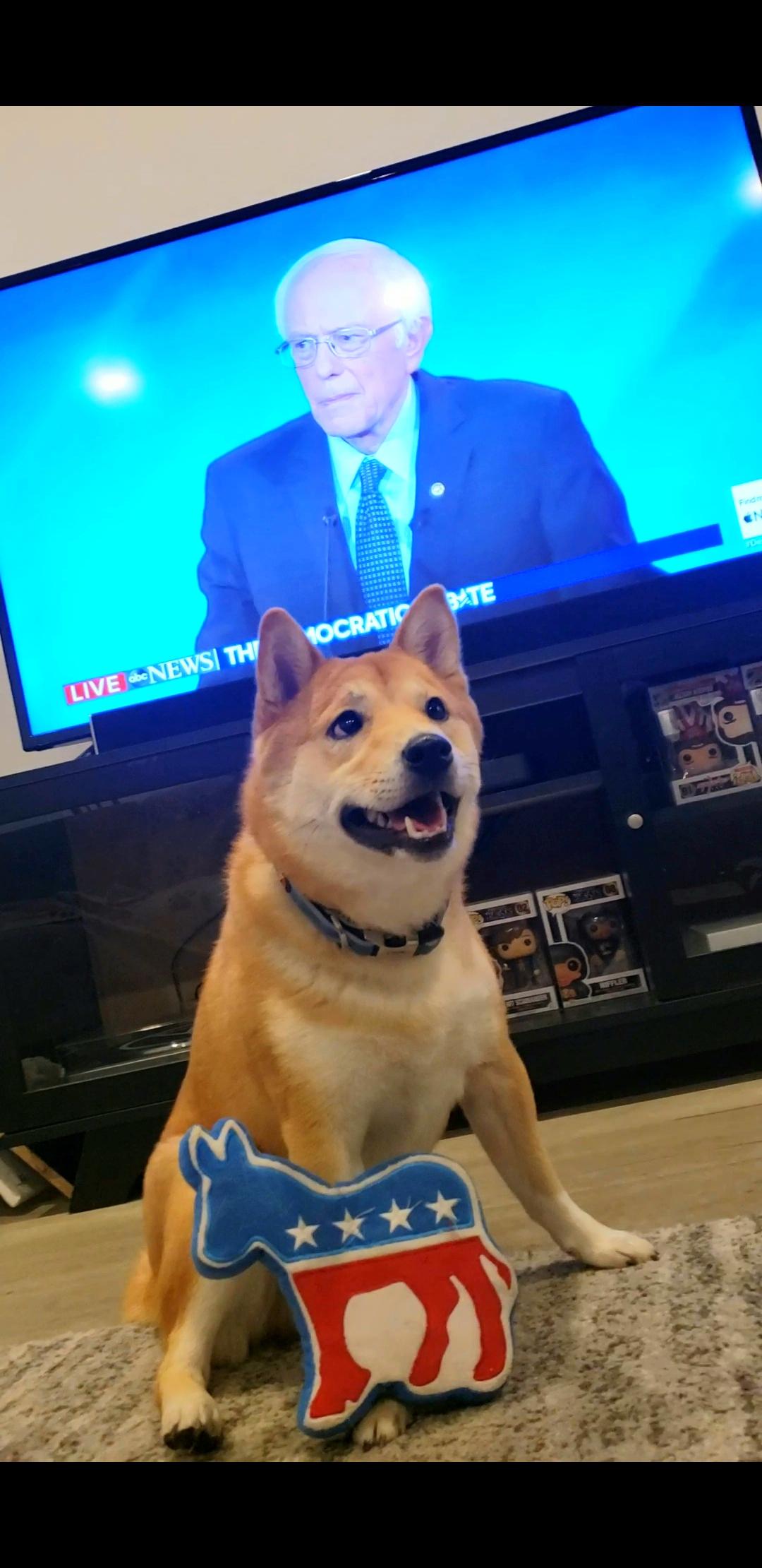 Feelin' the Bern. | Scrolller