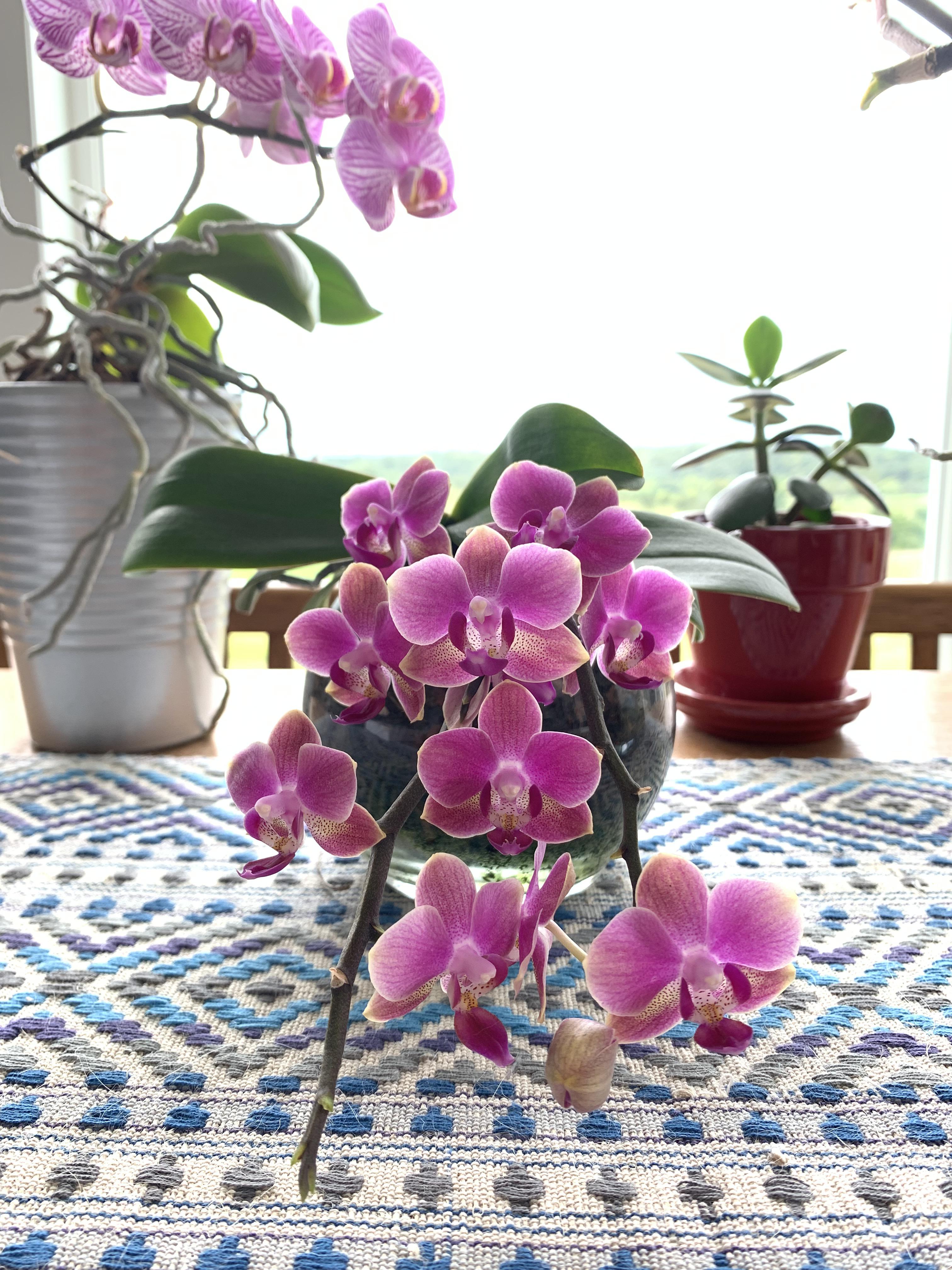 Feeling cute, might delete later. | Scrolller