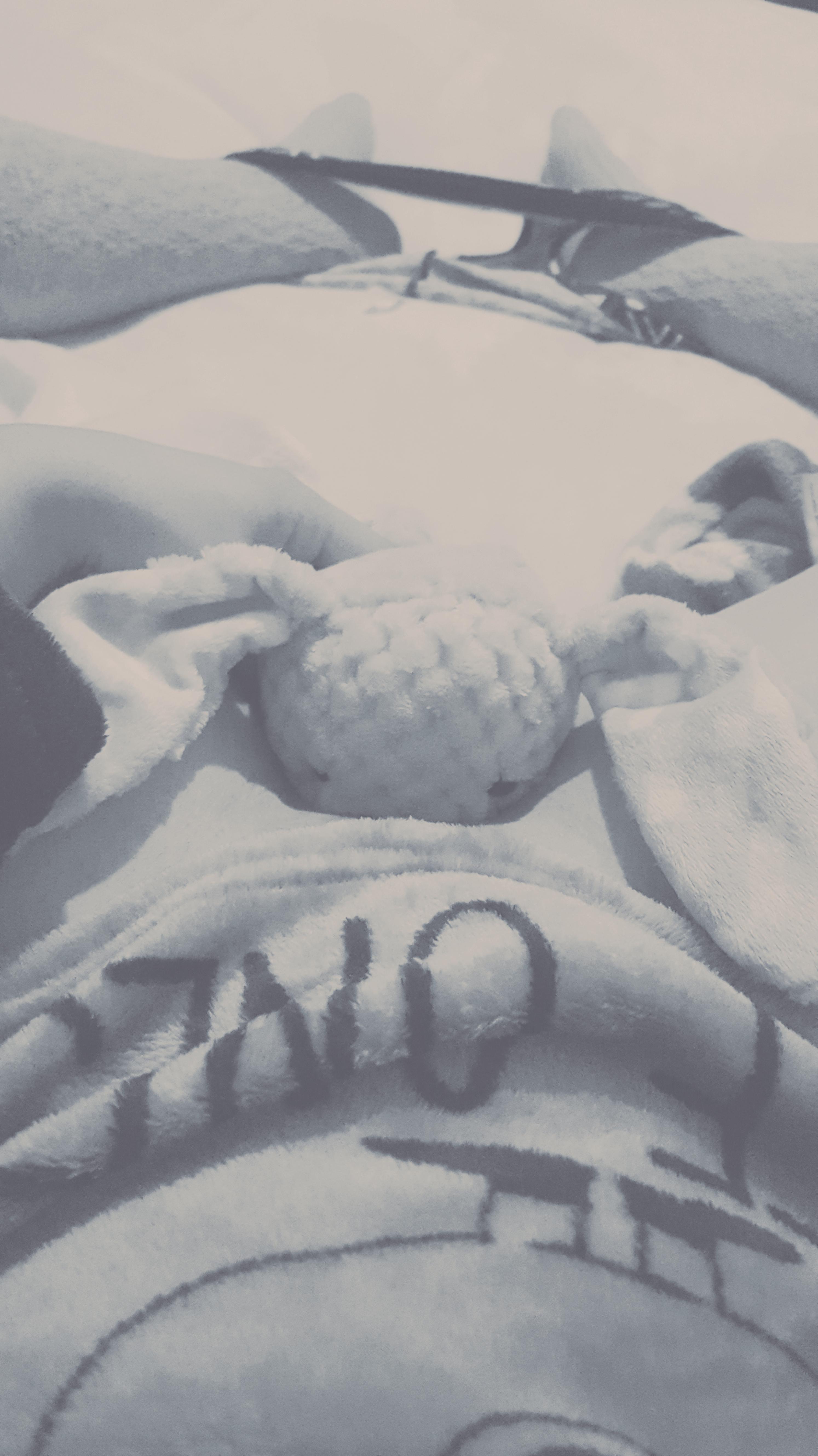 Felix gets feisty too | Scrolller