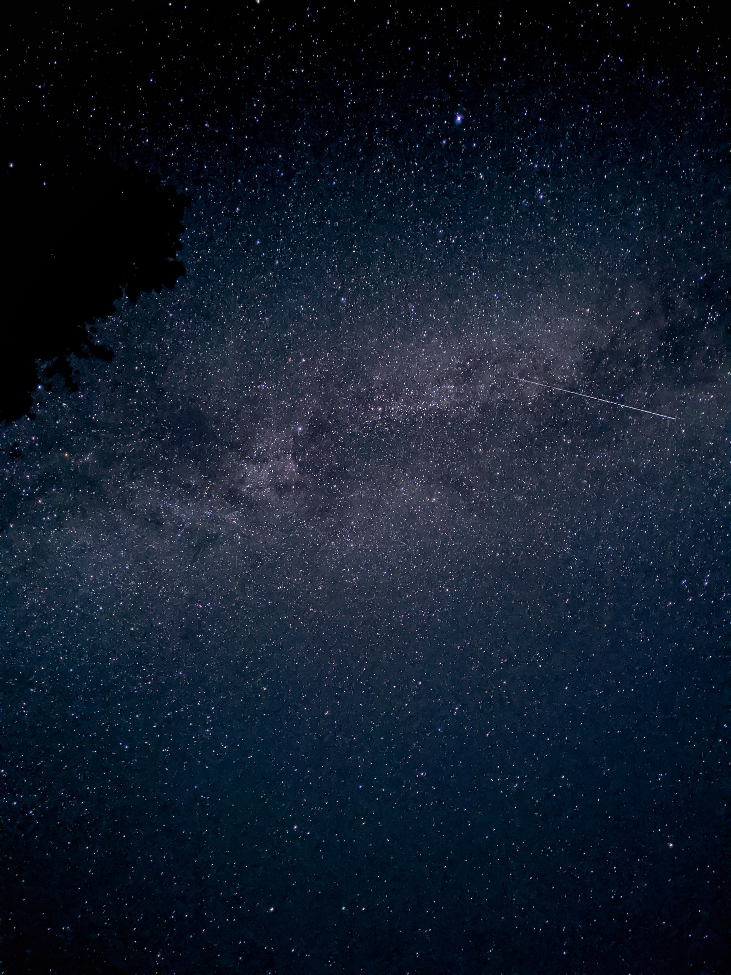 Felt Cute, Might Delete Later (Pixel 4 XL - Snapseed) | Scrolller