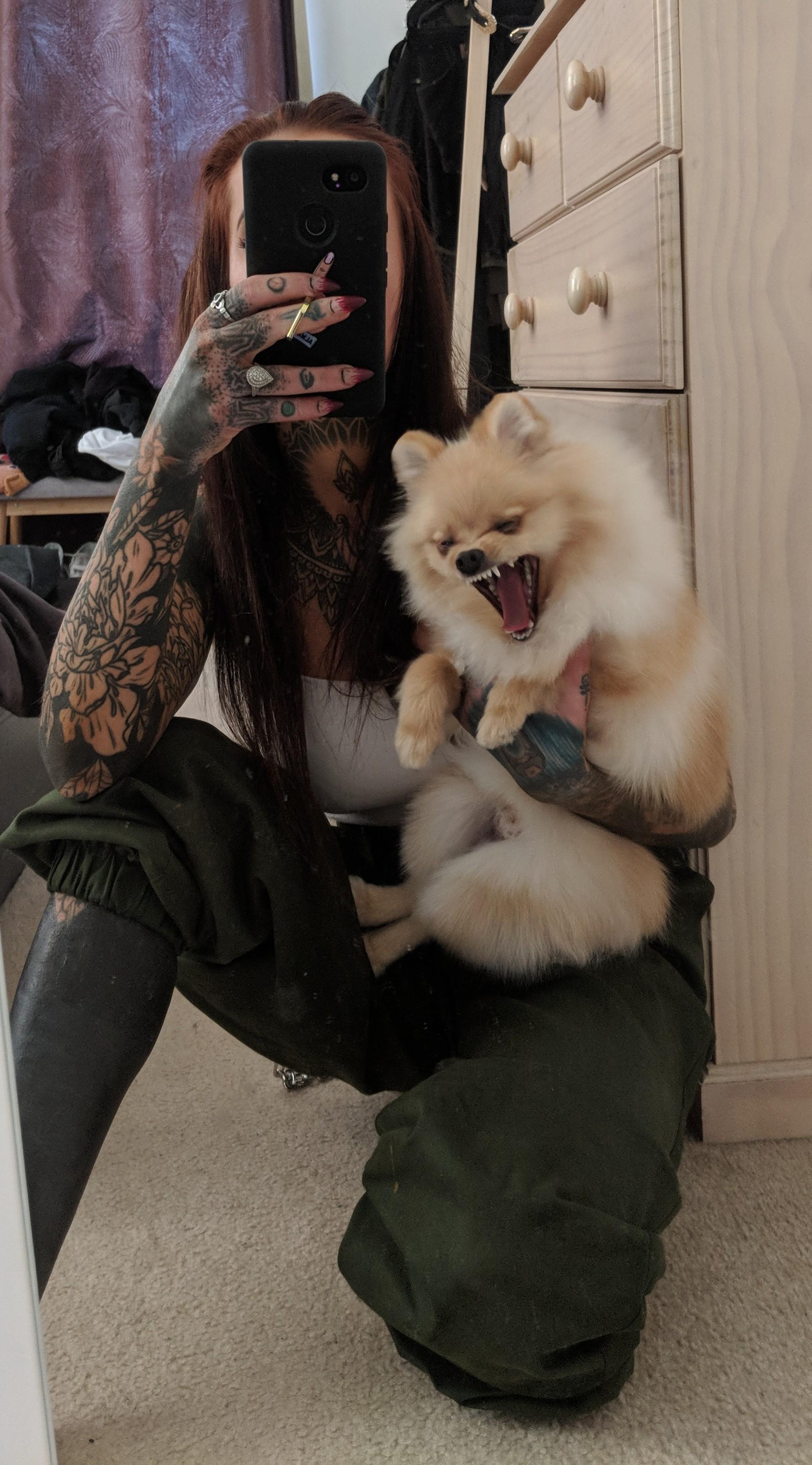 Ferocious | Scrolller