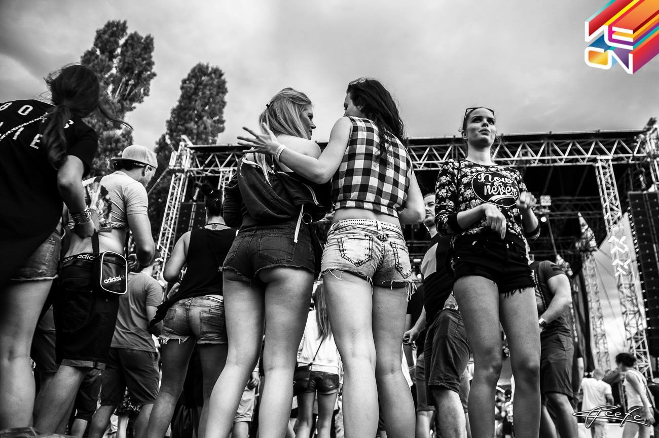 Festival girls | Scrolller