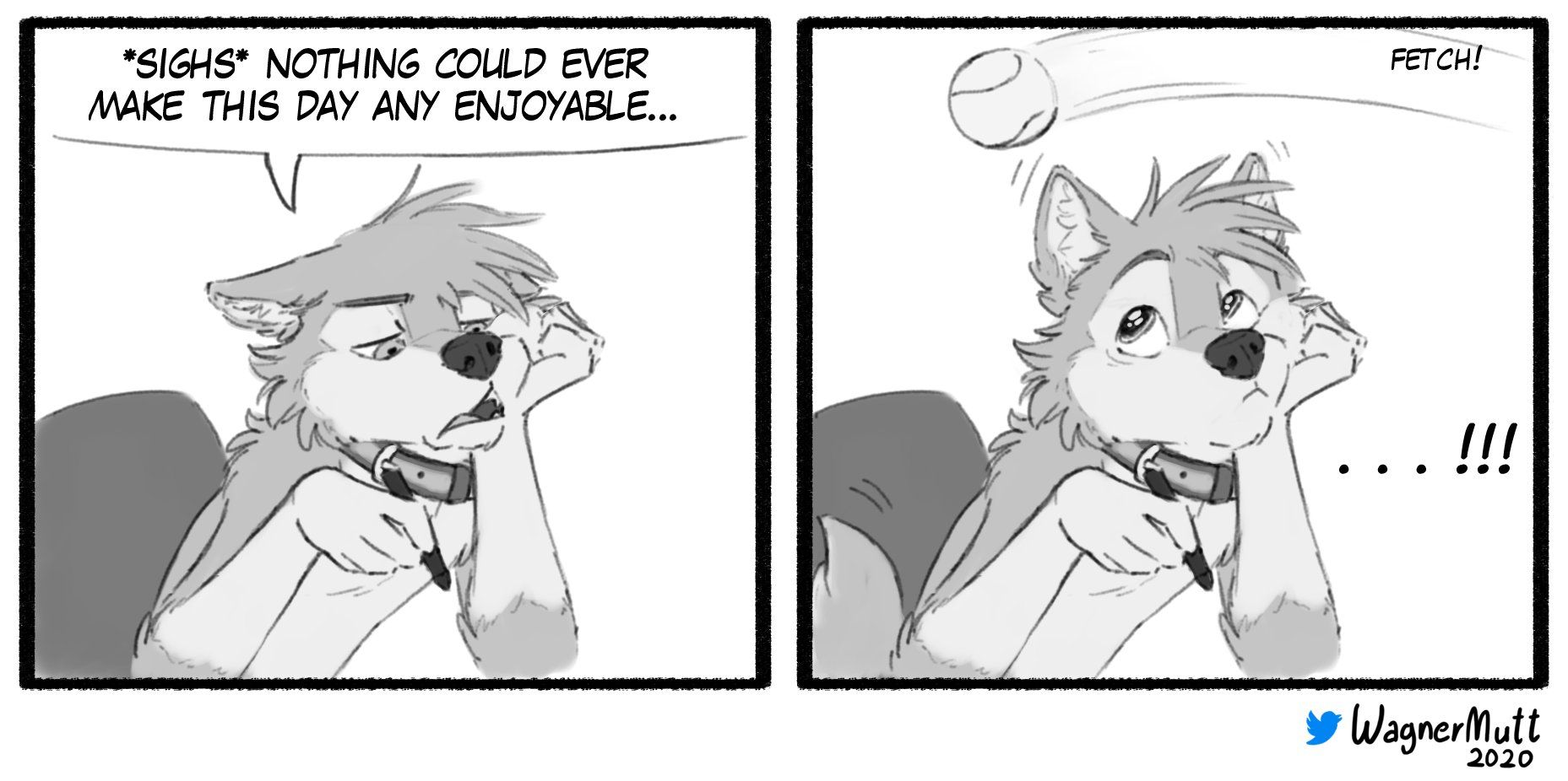 Fetch_irl | Scrolller