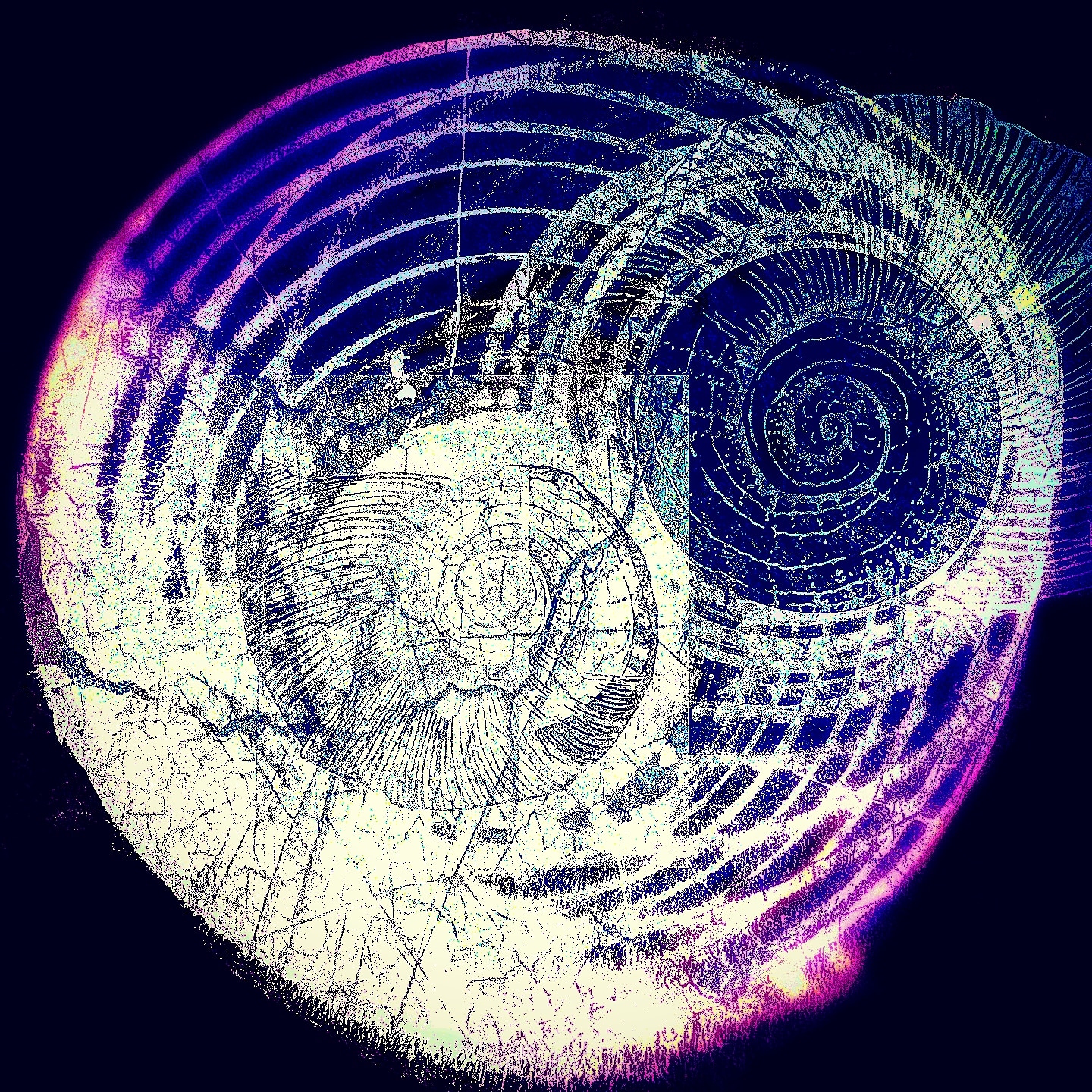 Fibonacci | Scrolller