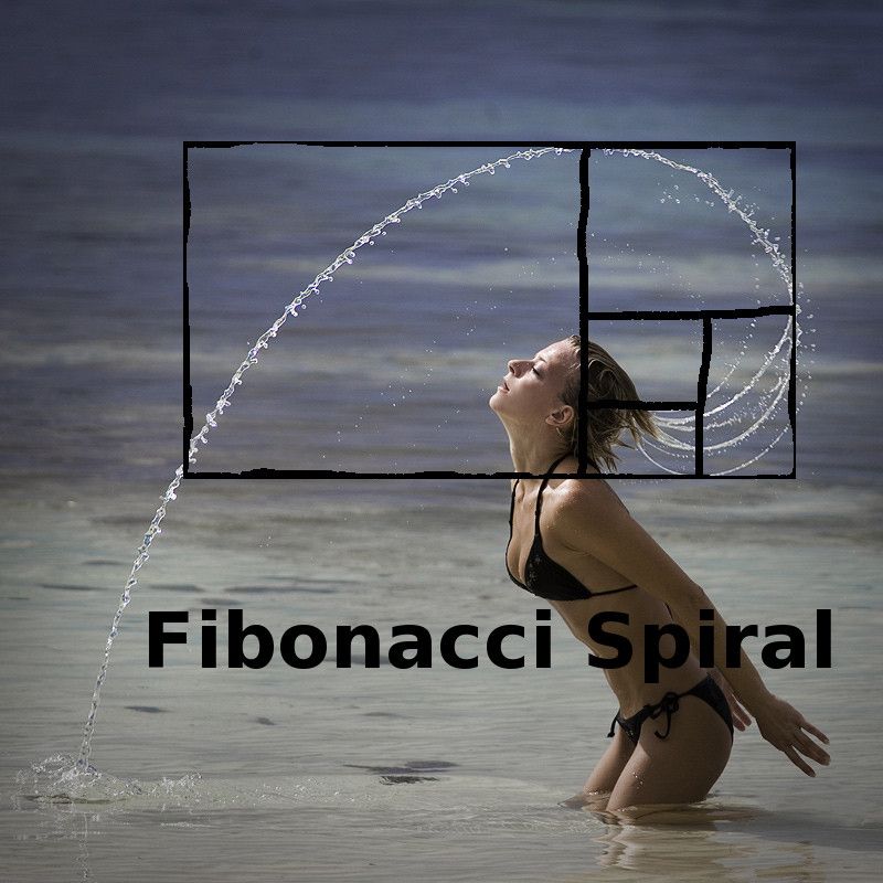 Fibonacci spiral | Scrolller