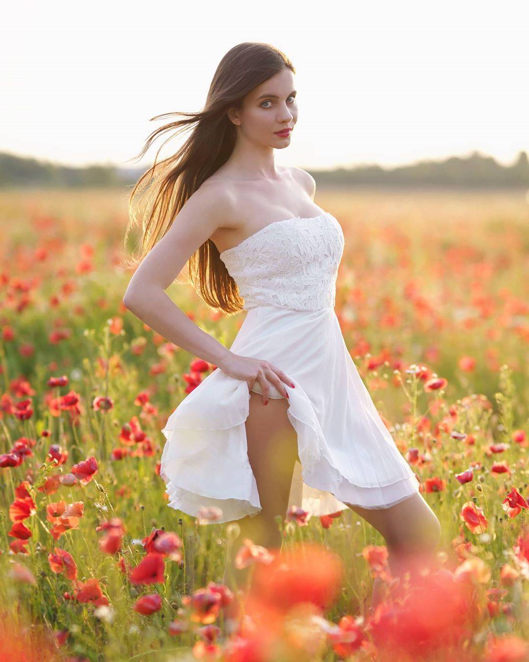 Field of poppies | Scrolller