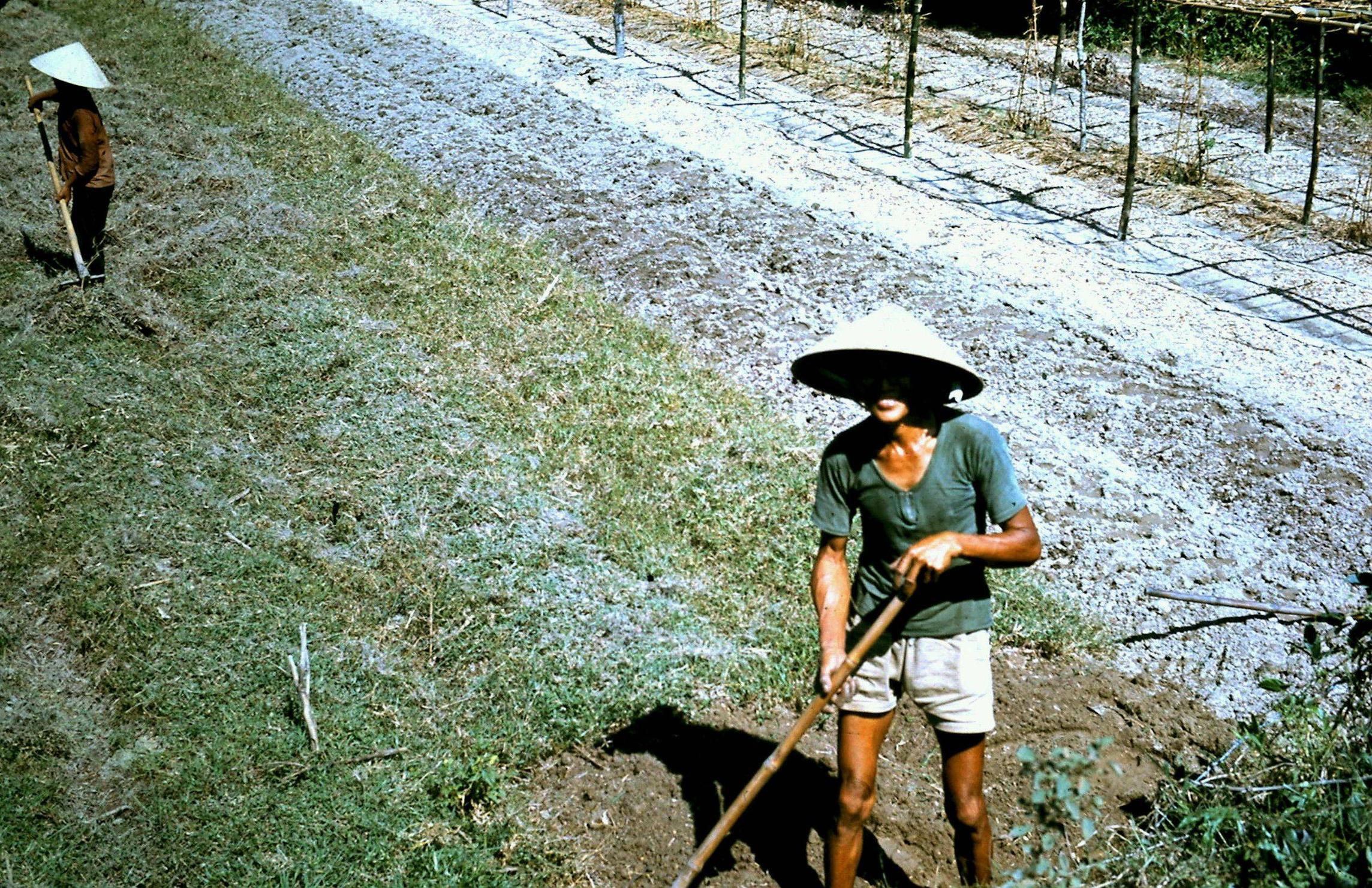 Field Work, Vietnam, 1969 [2542x1645] | Scrolller