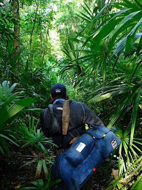 Filming in the jungles of Belize | Scrolller