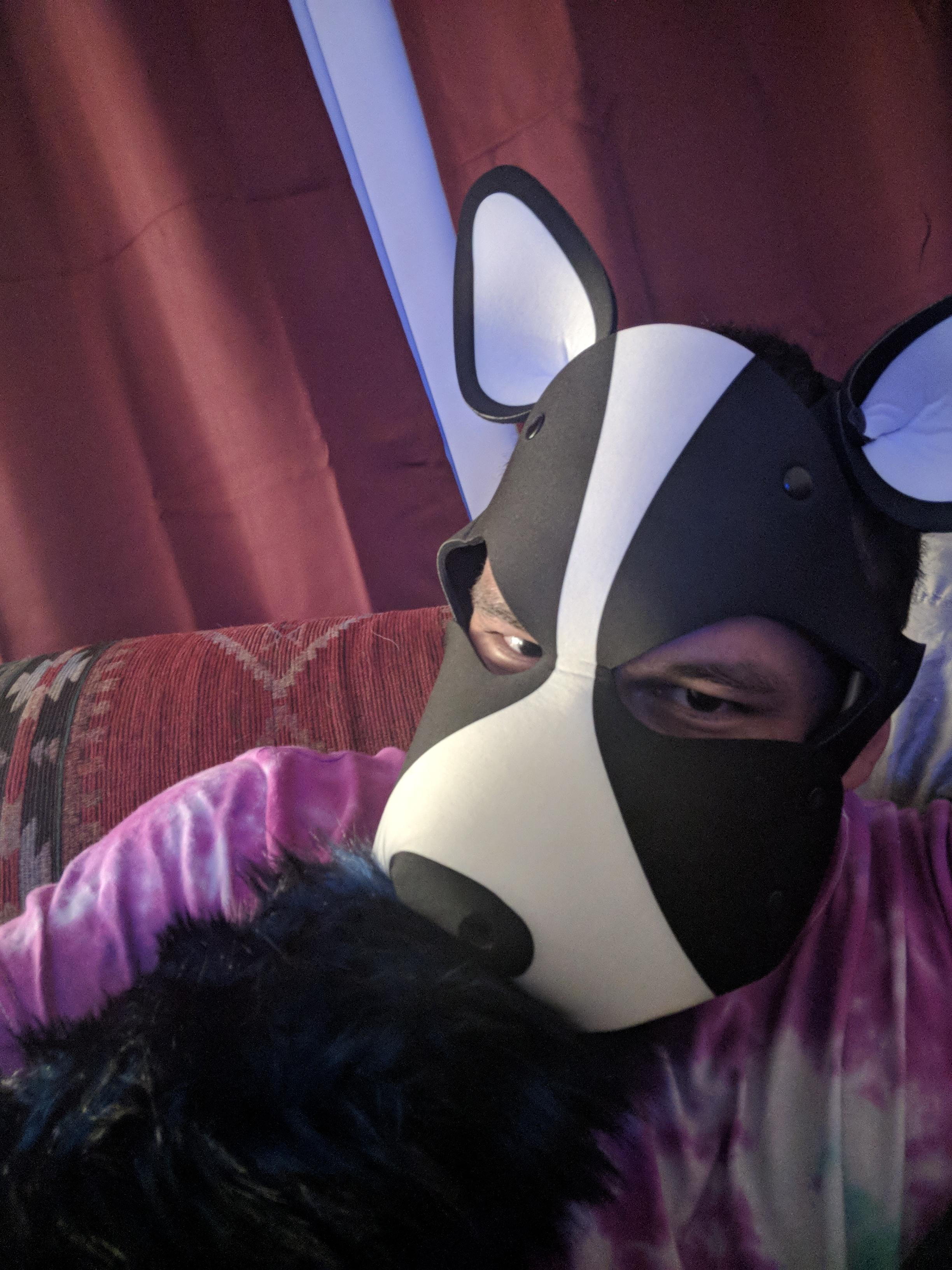 Finally caught the tail | Scrolller