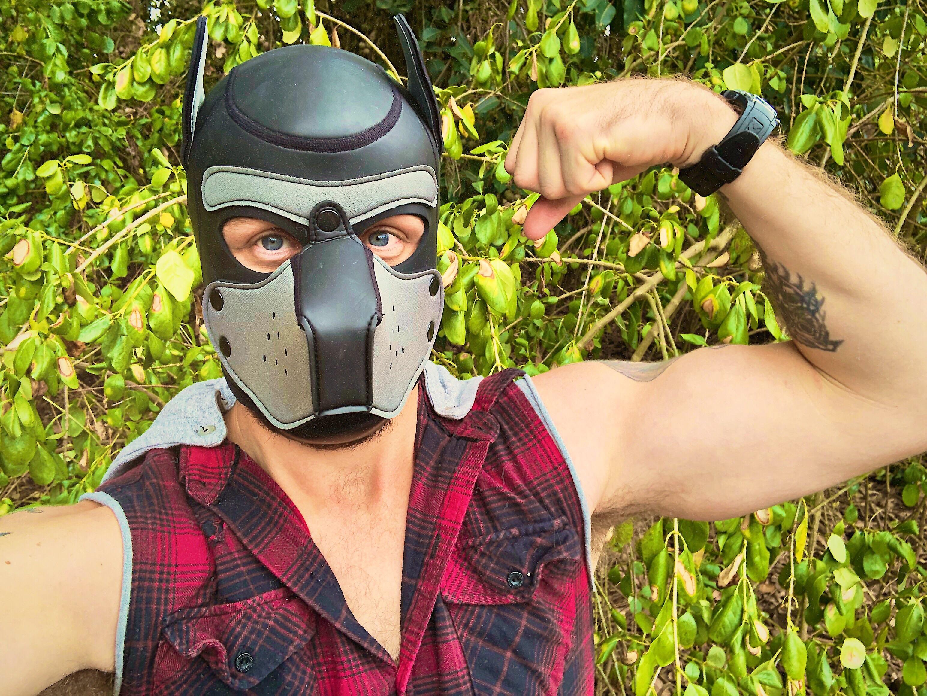 Finally Friday! One happy pup! | Scrolller