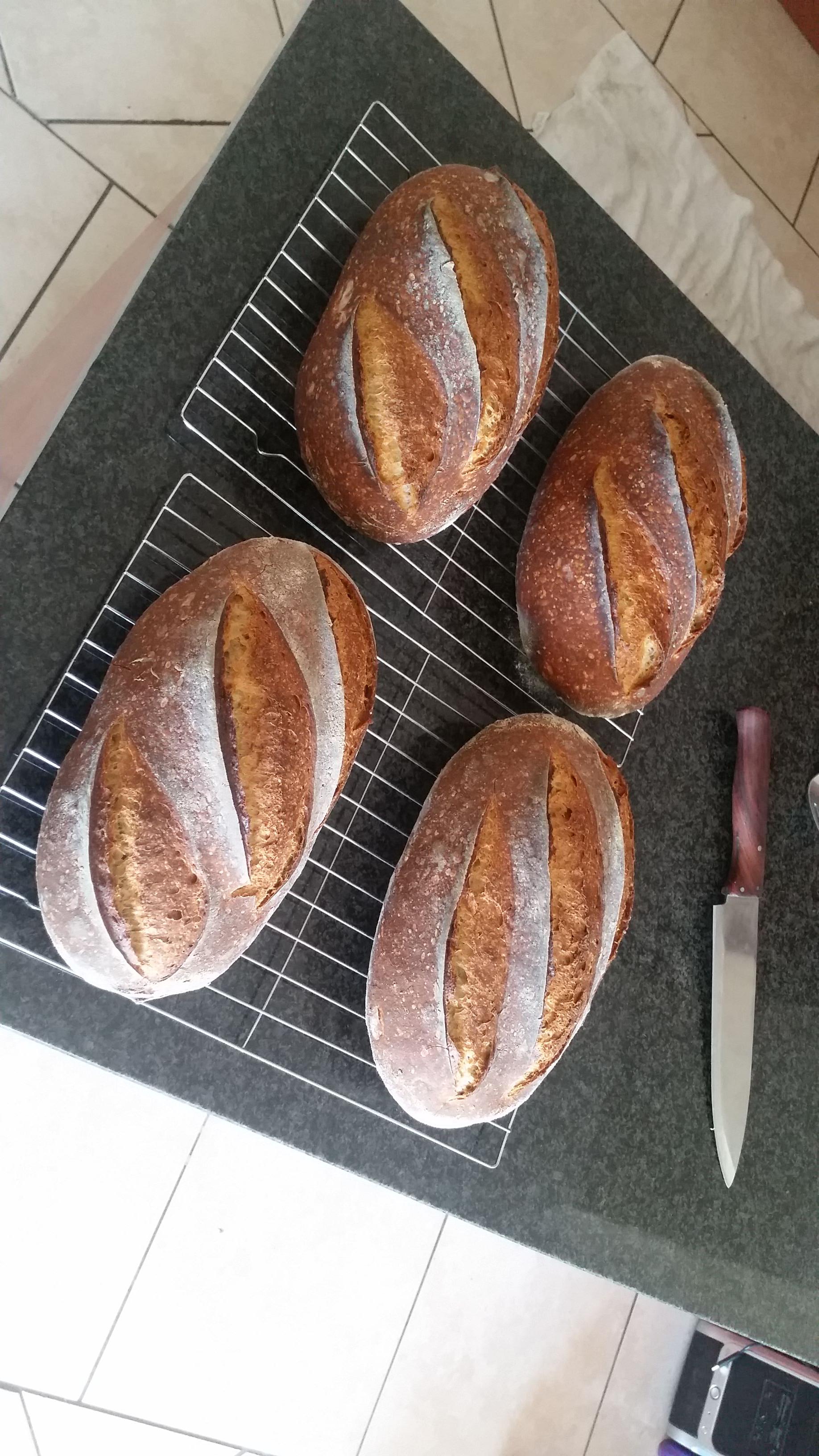 Finally getting really consistent loaves | Scrolller