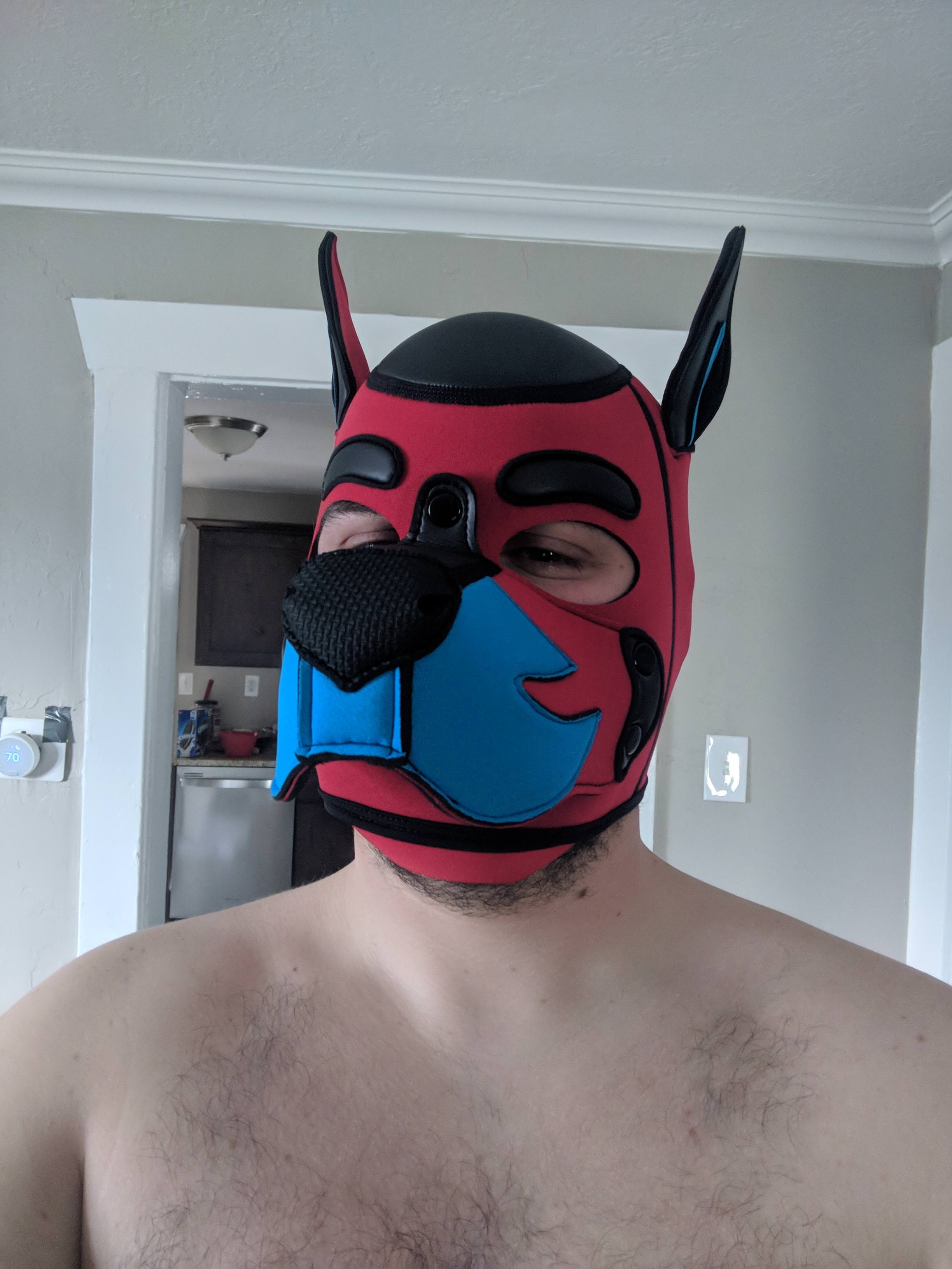 Finally got my custom hood!! | Scrolller