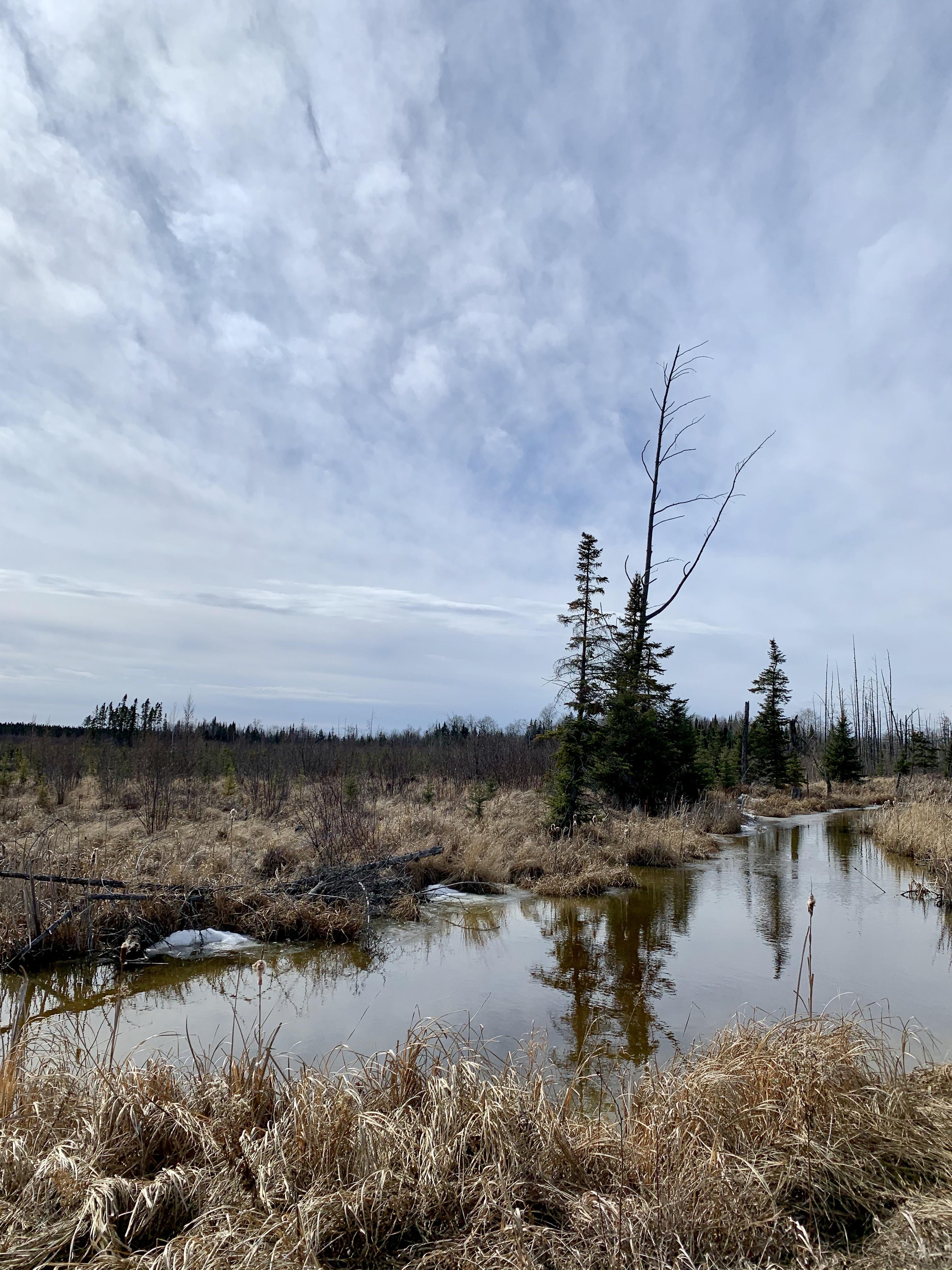 Finally melting! | Scrolller