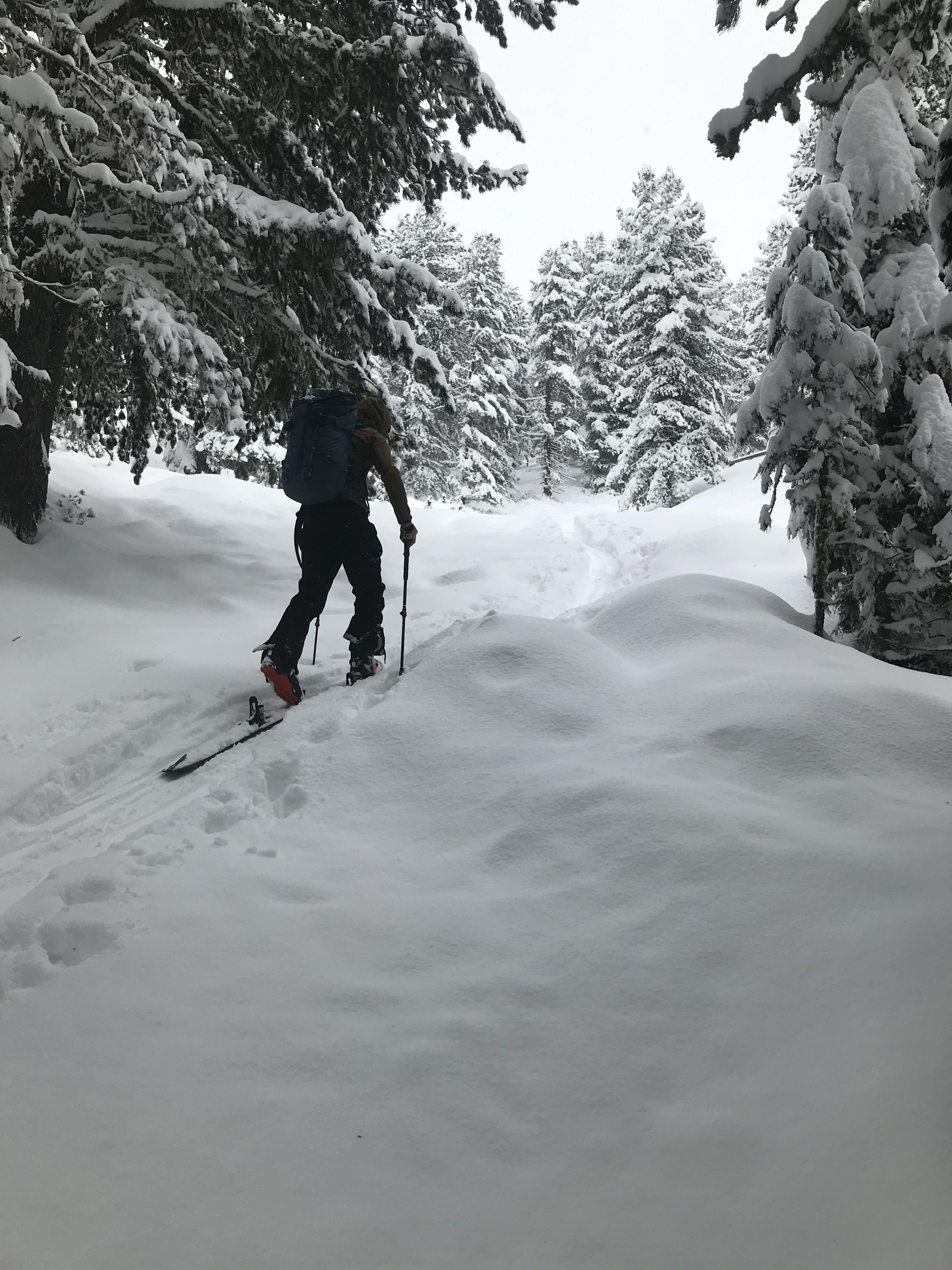 finally some fresh powder ️ | Scrolller