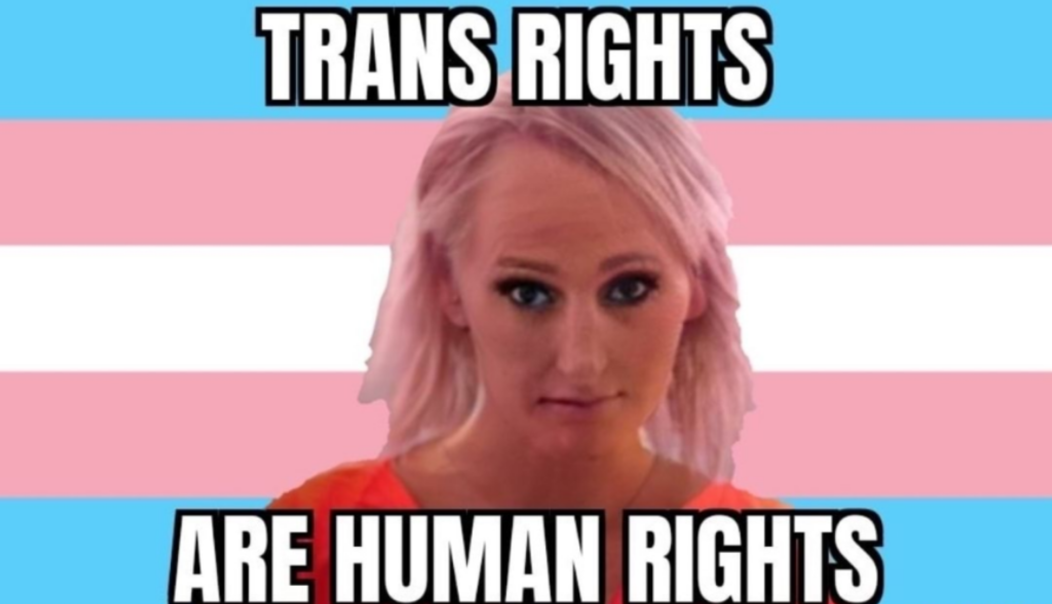 Finally some trans representation | Scrolller