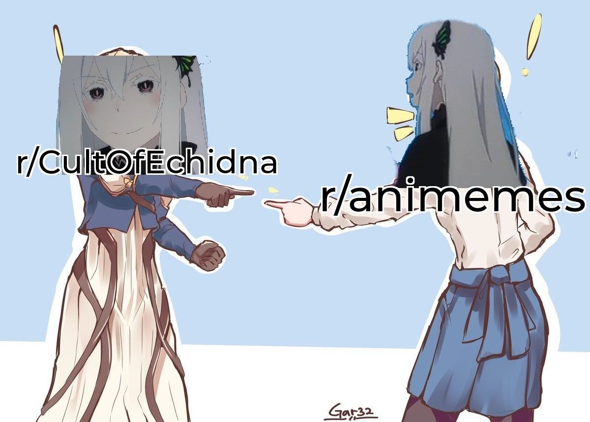 Finally, they are enlightened in the Best Witch Echidna | Scrolller