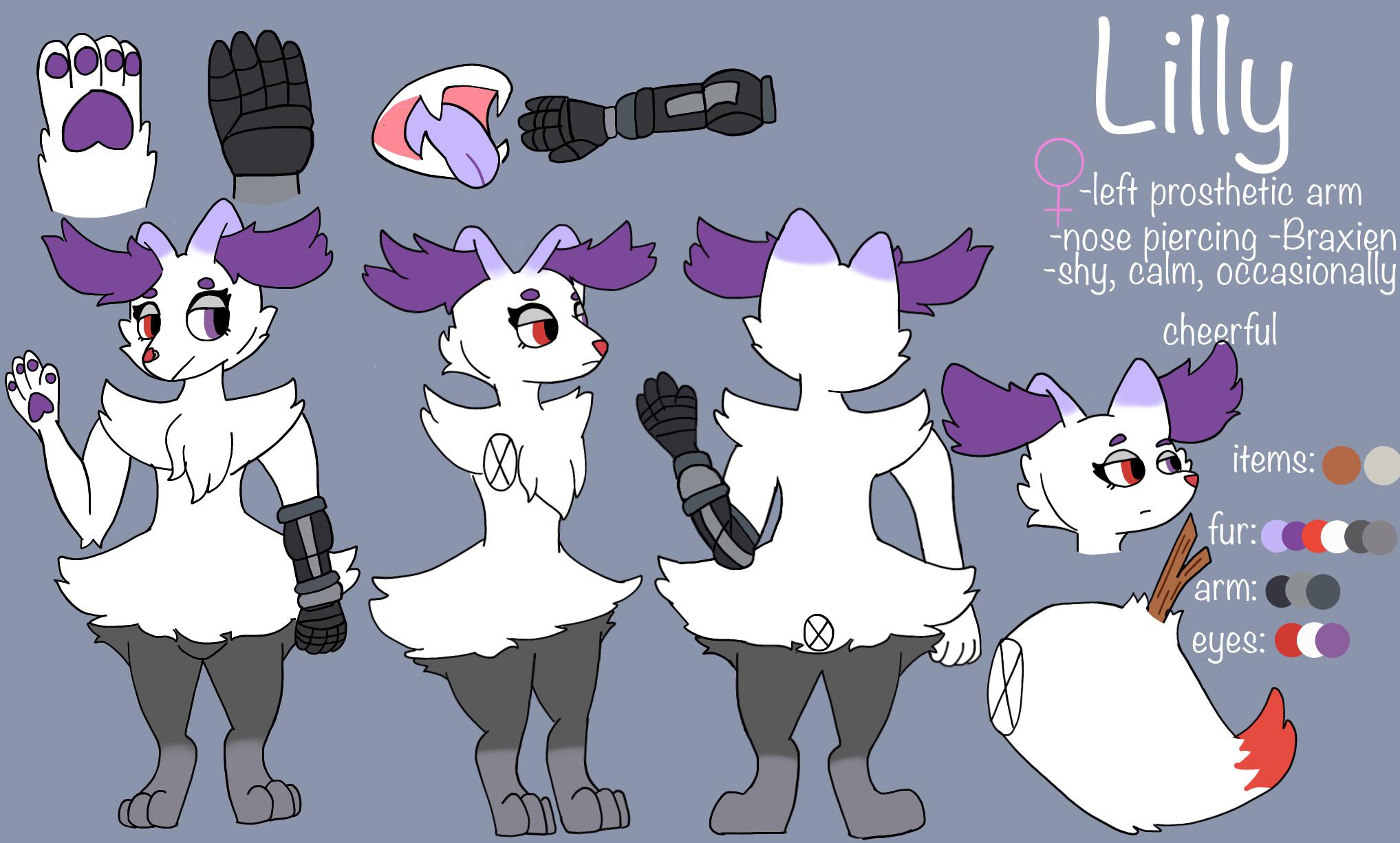 Finished reference sheet commission! (Commissions open) | Scrolller