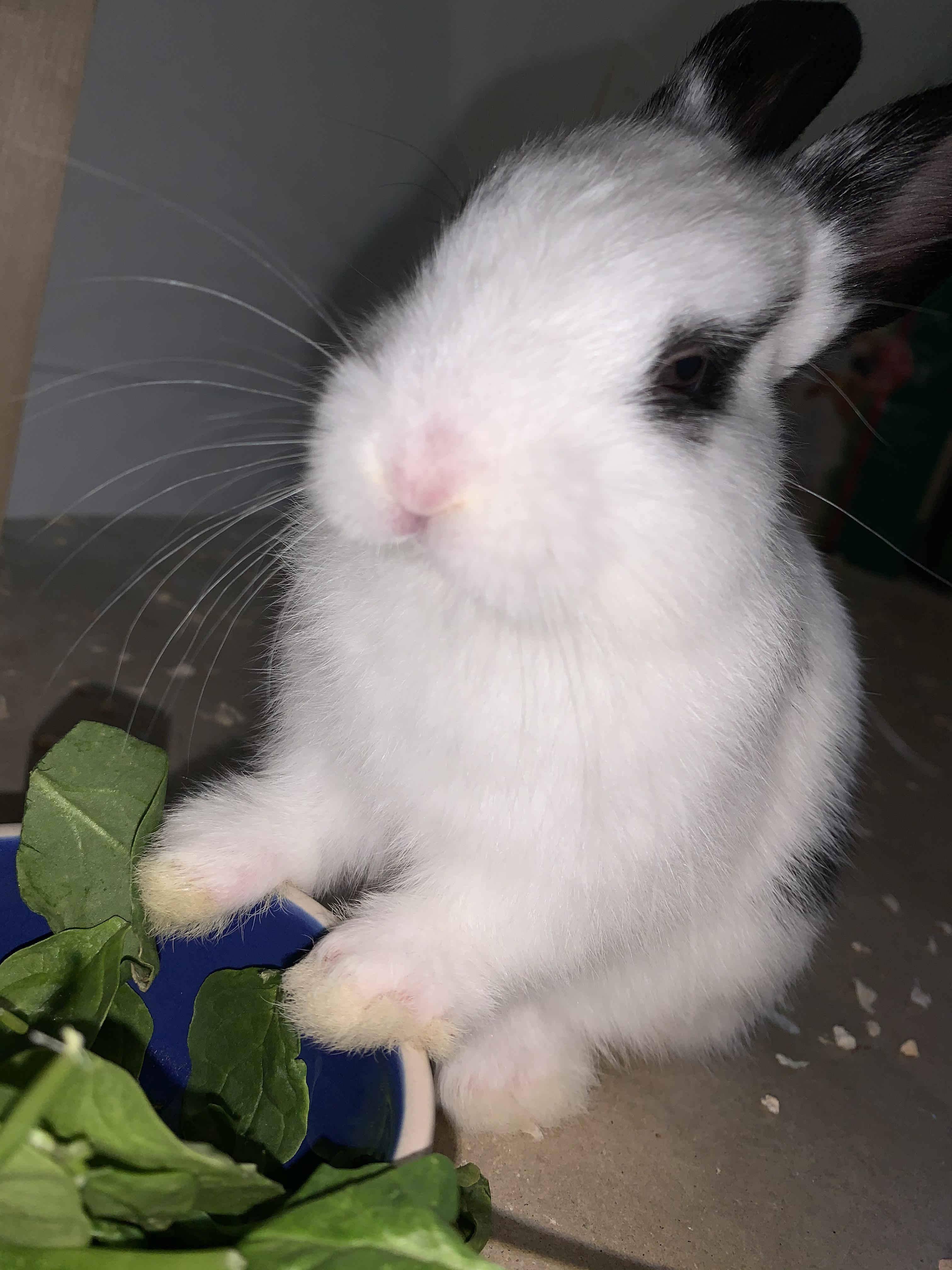 Finley Poses Scrolller
