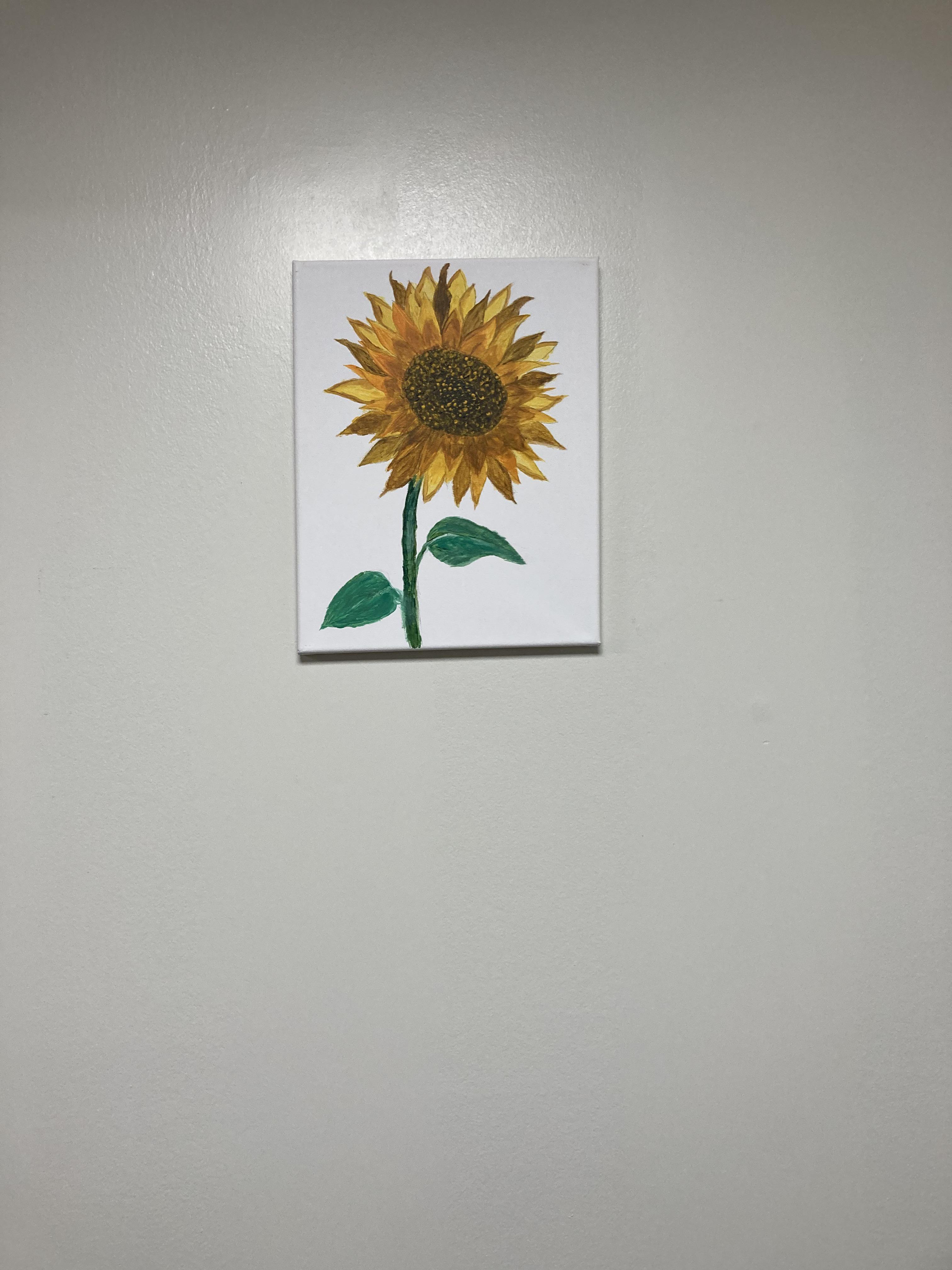 First attempt | Scrolller