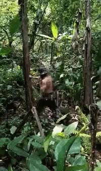 First day of Ark | Scrolller