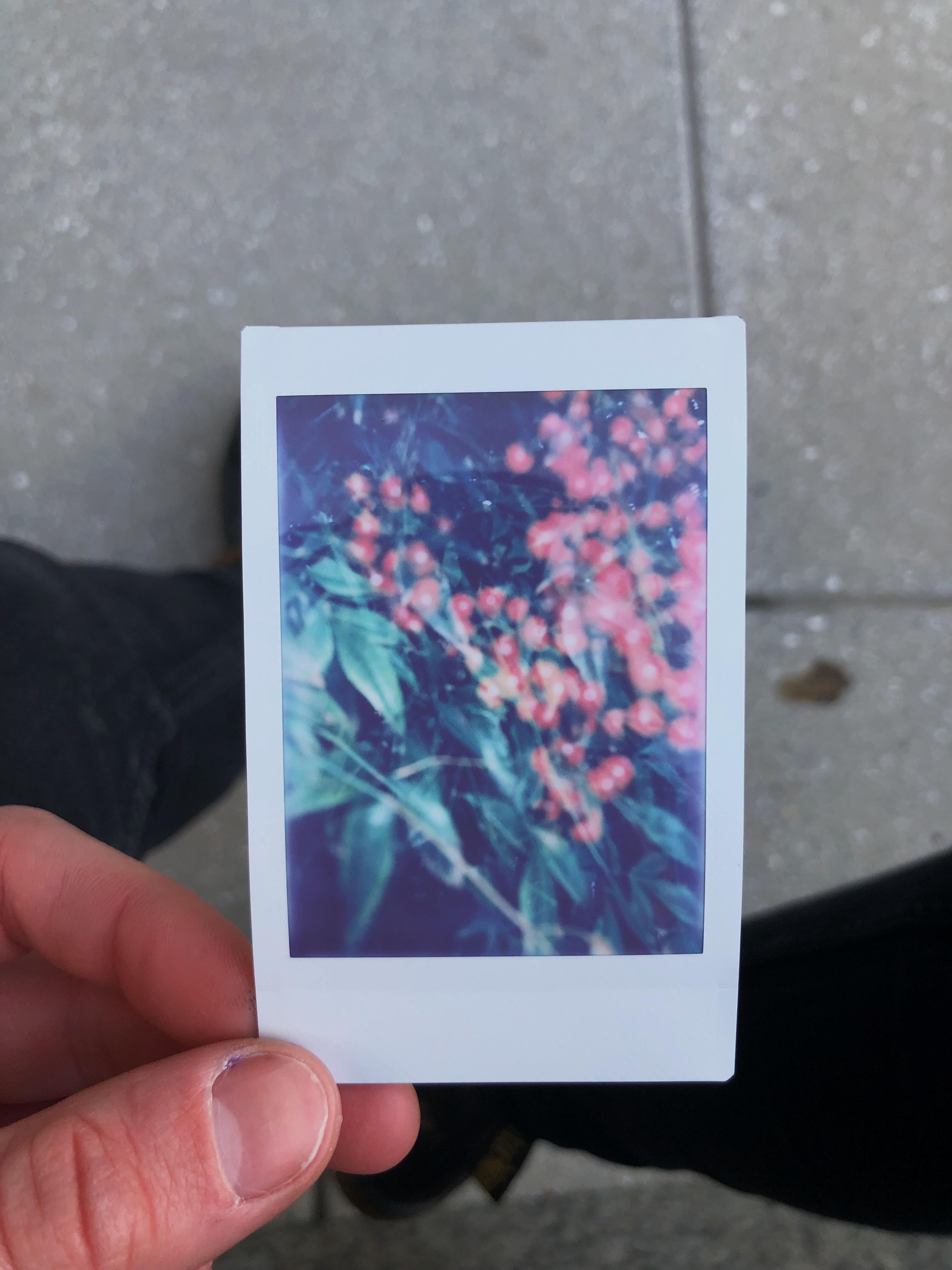 first double exposure on my neo 90 ! | Scrolller