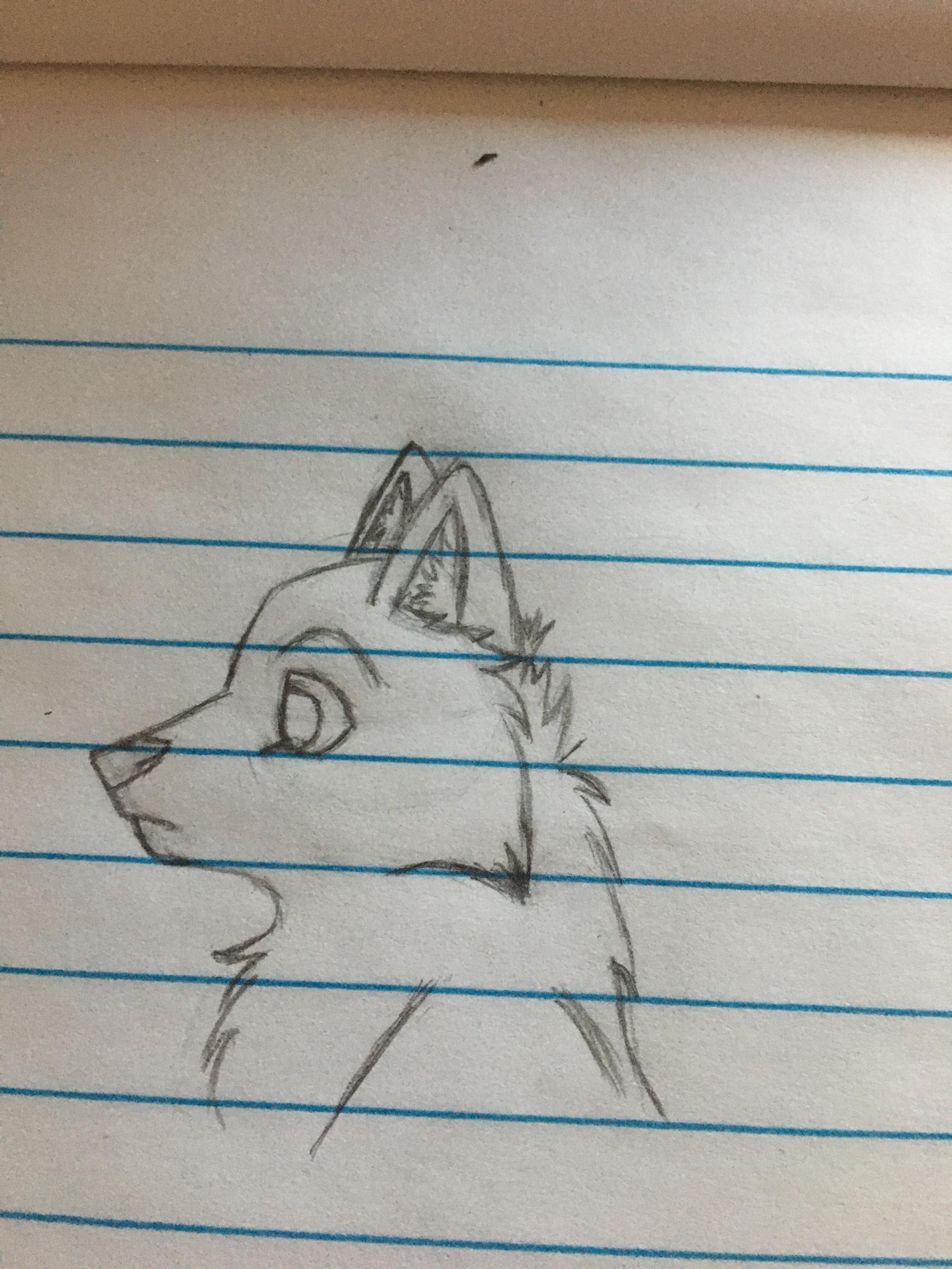 First drawing! | Scrolller