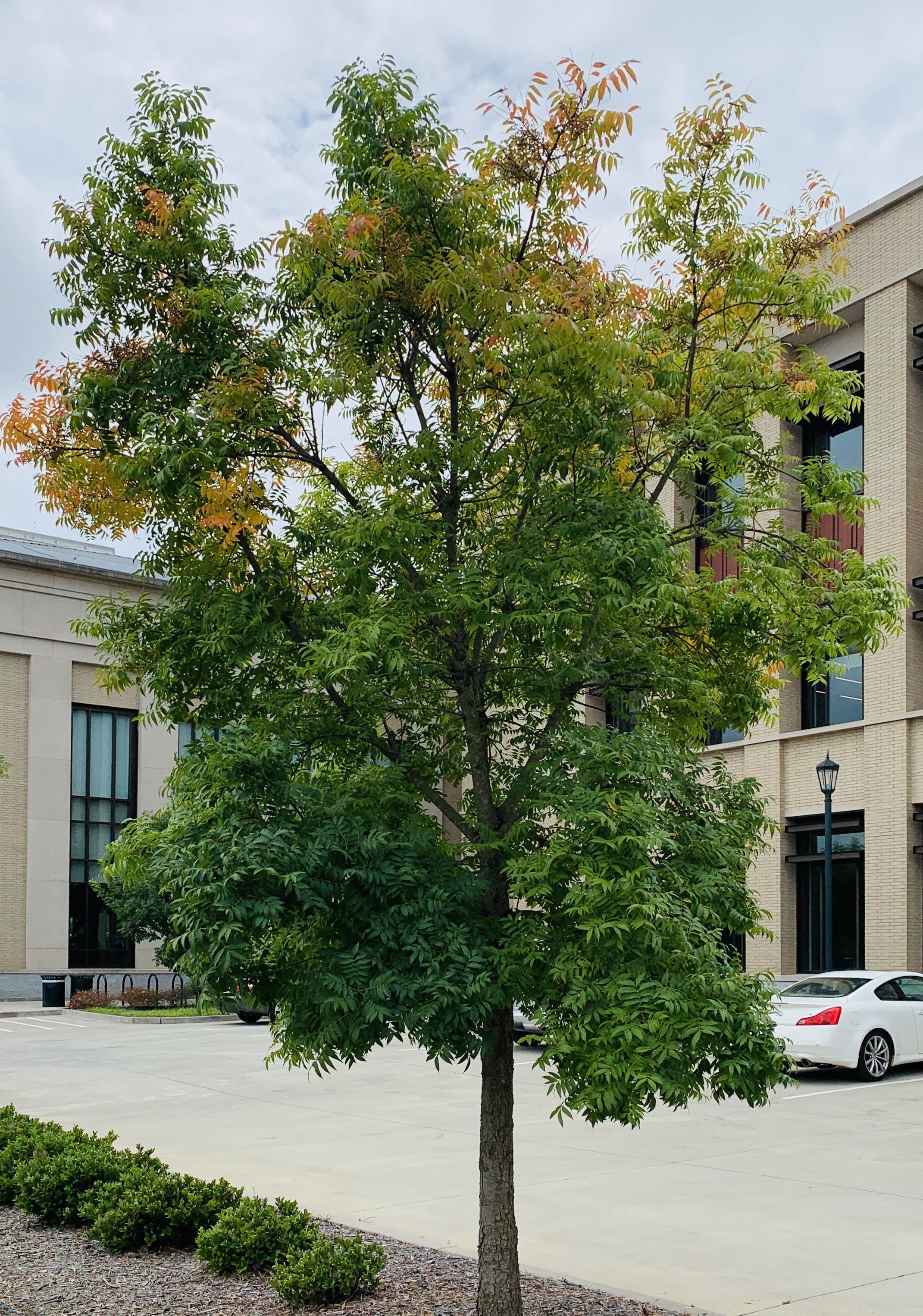 First glimpse! | Scrolller