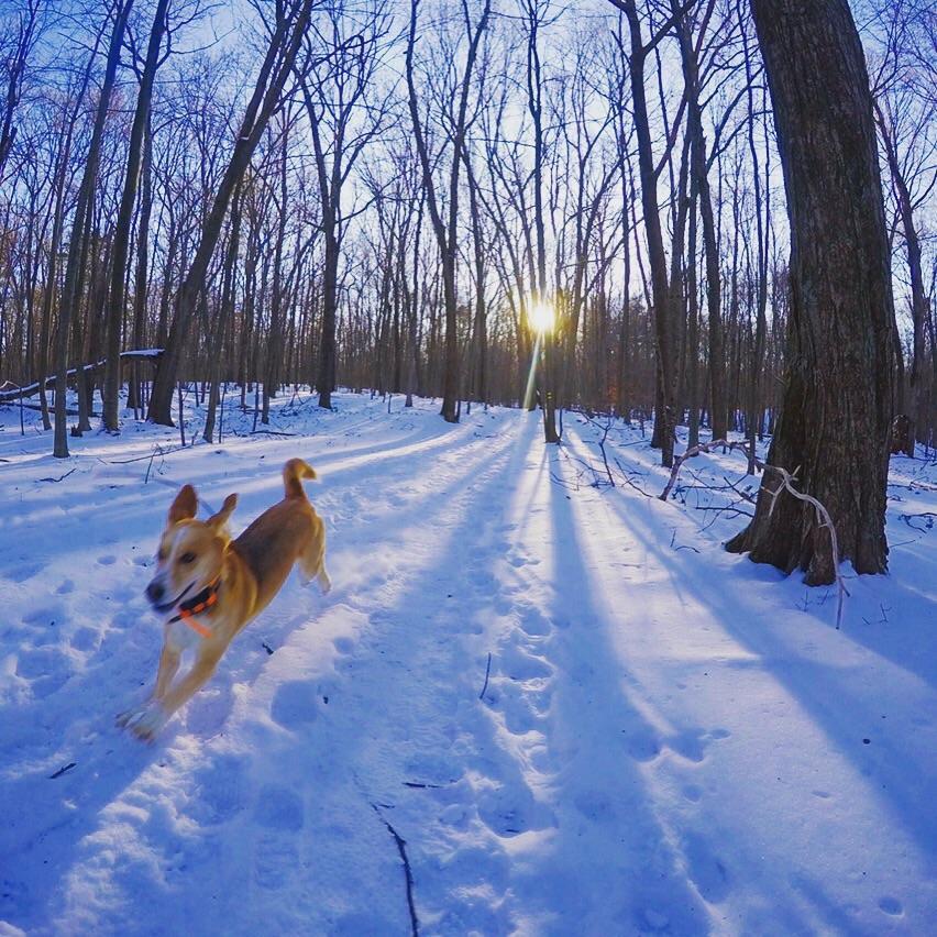 First hike of the year: cold -1F | Scrolller